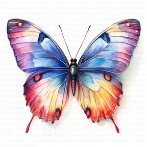 Whimsical Butterflies Clipart 5 High Quality Jpg's Digital Download ...