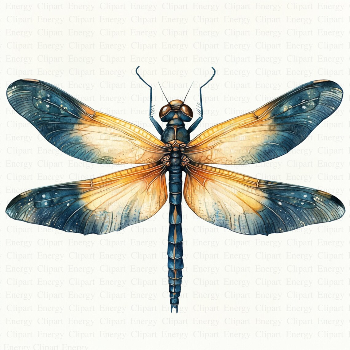 Vintage Dragonfly Clipart | 5 High Quality Jpg's | Digital Download ...