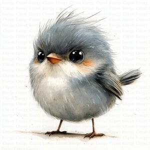 Grumpy Birds Clipart | 5 High Quality Jpgs | Digital Download ...