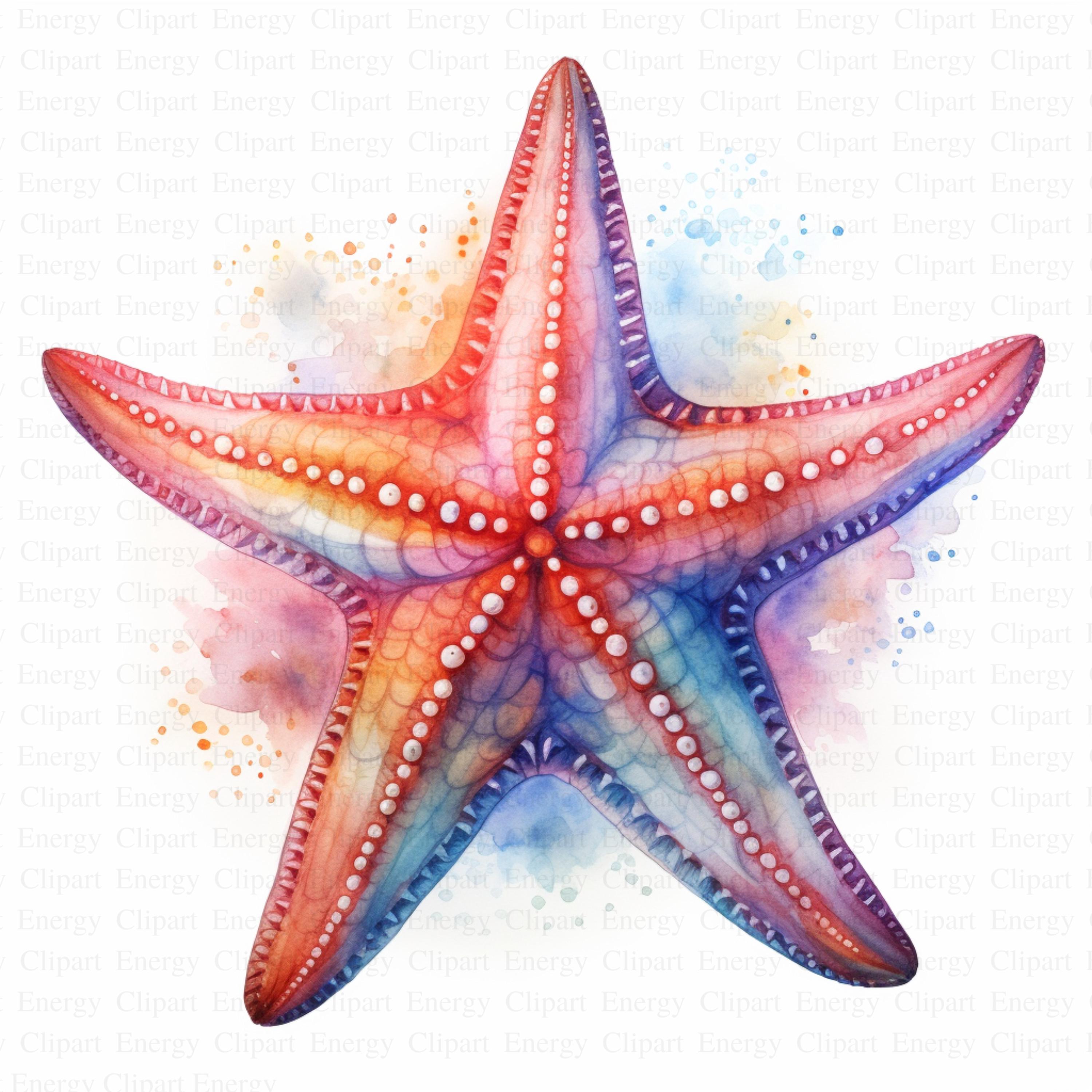 Watercolor Starfish Clipart | 5 High Quality Jpg's | Digital Download ...