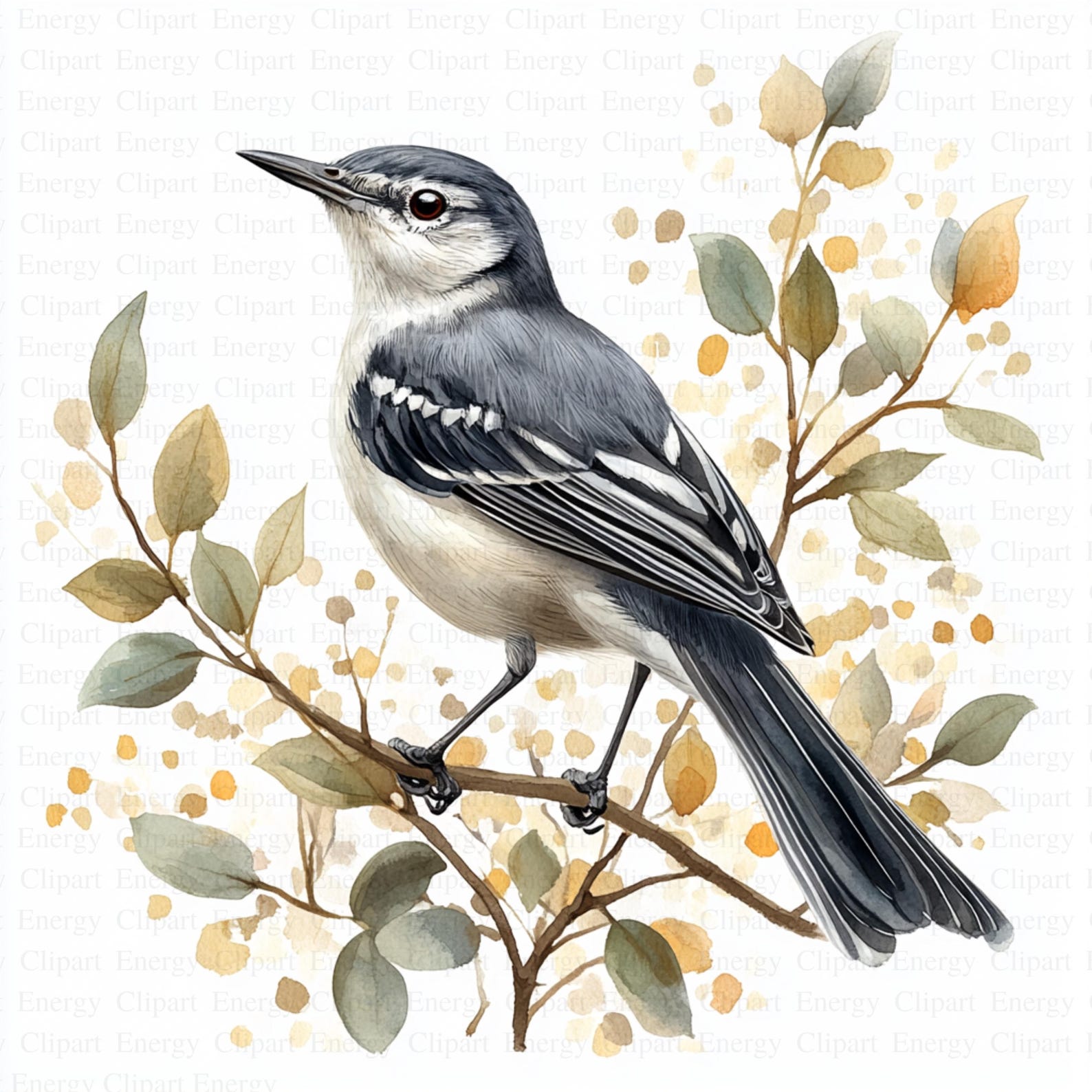 Northern Mockingbird Clipart | 5 High Quality Jpg's | Digital Download ...