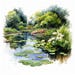 Watercolor Backyard Pond Clipart Bundle | 5 High Quality Jpg's ...