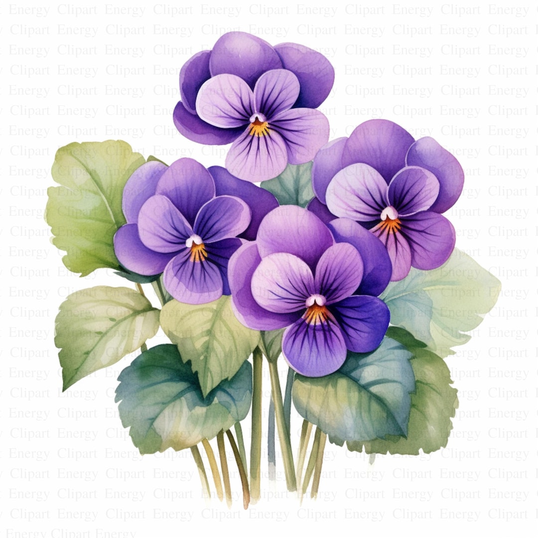 Violets Clipart | 5 High Quality Jpgs | Digital Download | Violet ...