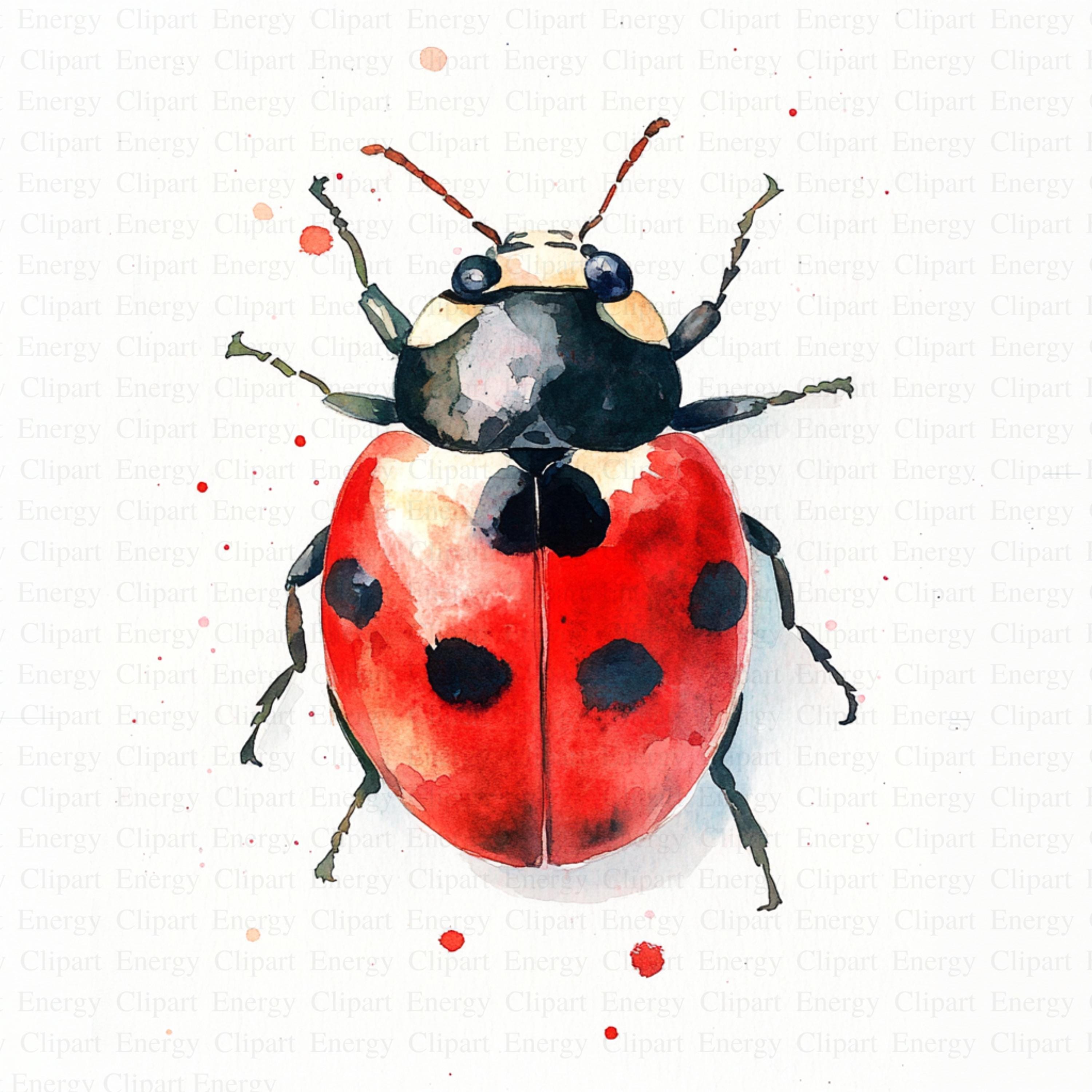 Watercolor Ladybugs Clipart | 5 High Quality Jpg's | Digital Download ...