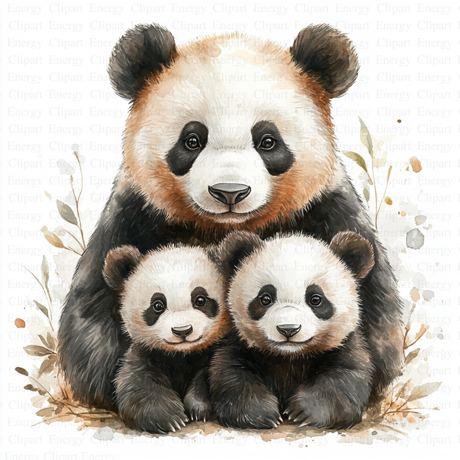 Panda Family Clipart | 5 High Quality Jpg's | Digital Download | Family ...