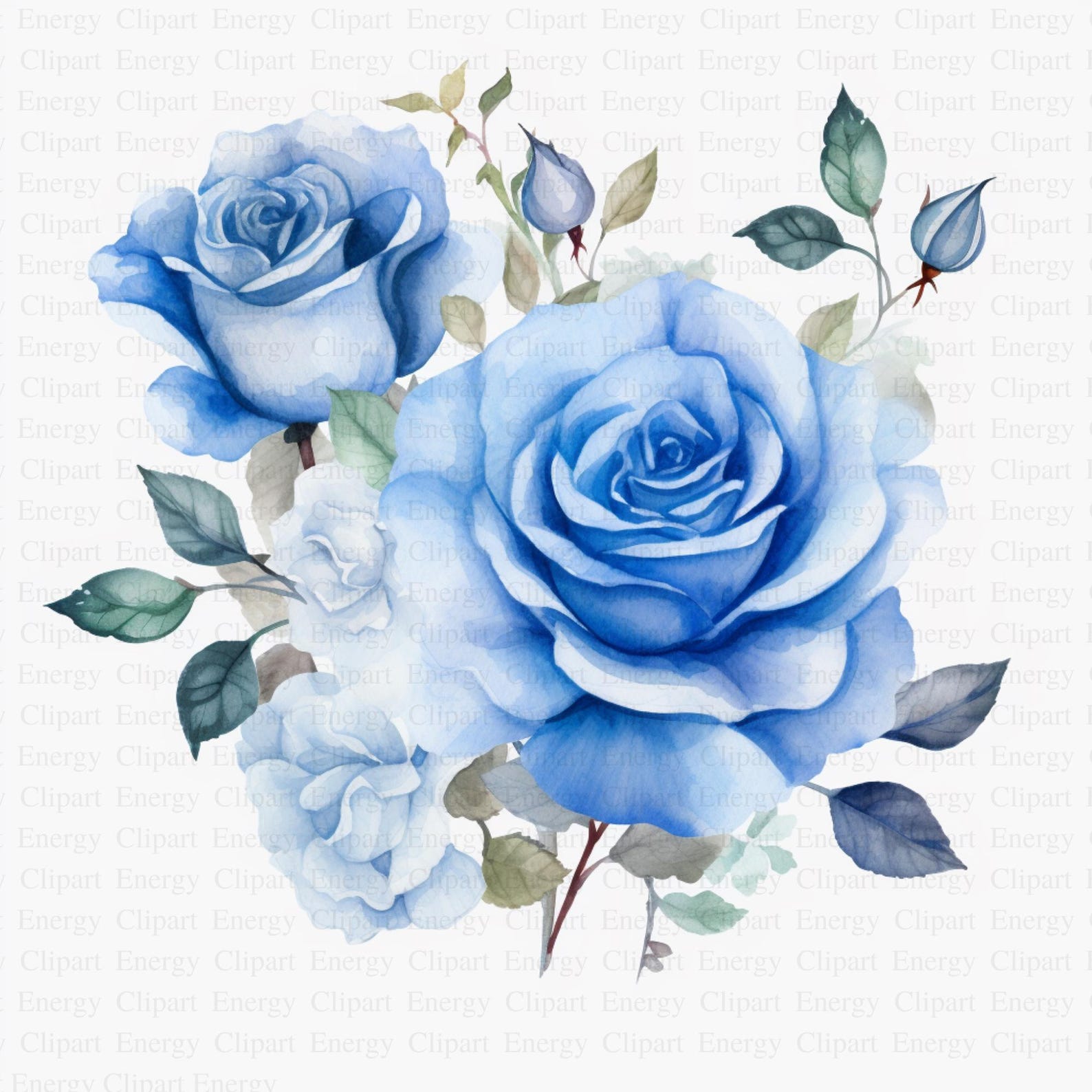 Blue Rose Clipart | 5 High Quality Jpgs | Digital Download | Card ...