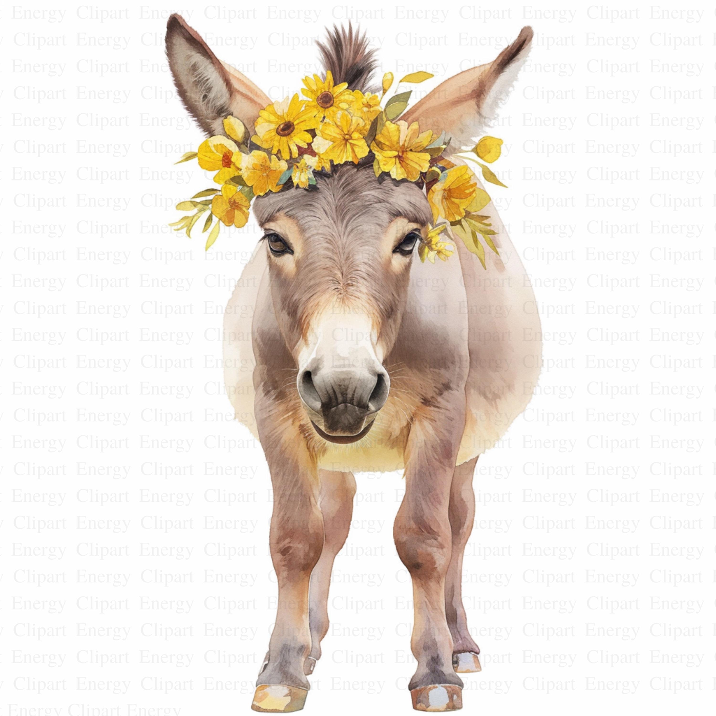 Floral Donkeys Clipart | 5 High Quality Jpg's | Digital Download ...
