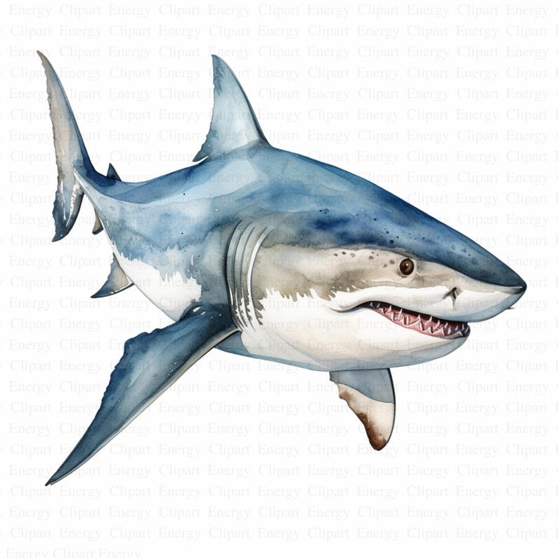 Shark Clipart | 5 High Quality Jpg's | Ocean Life Art | Shark ...