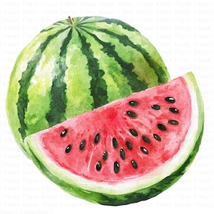 Watermelon Clipart | 5 High Quality Jpgs | Digital Download | Summer ...