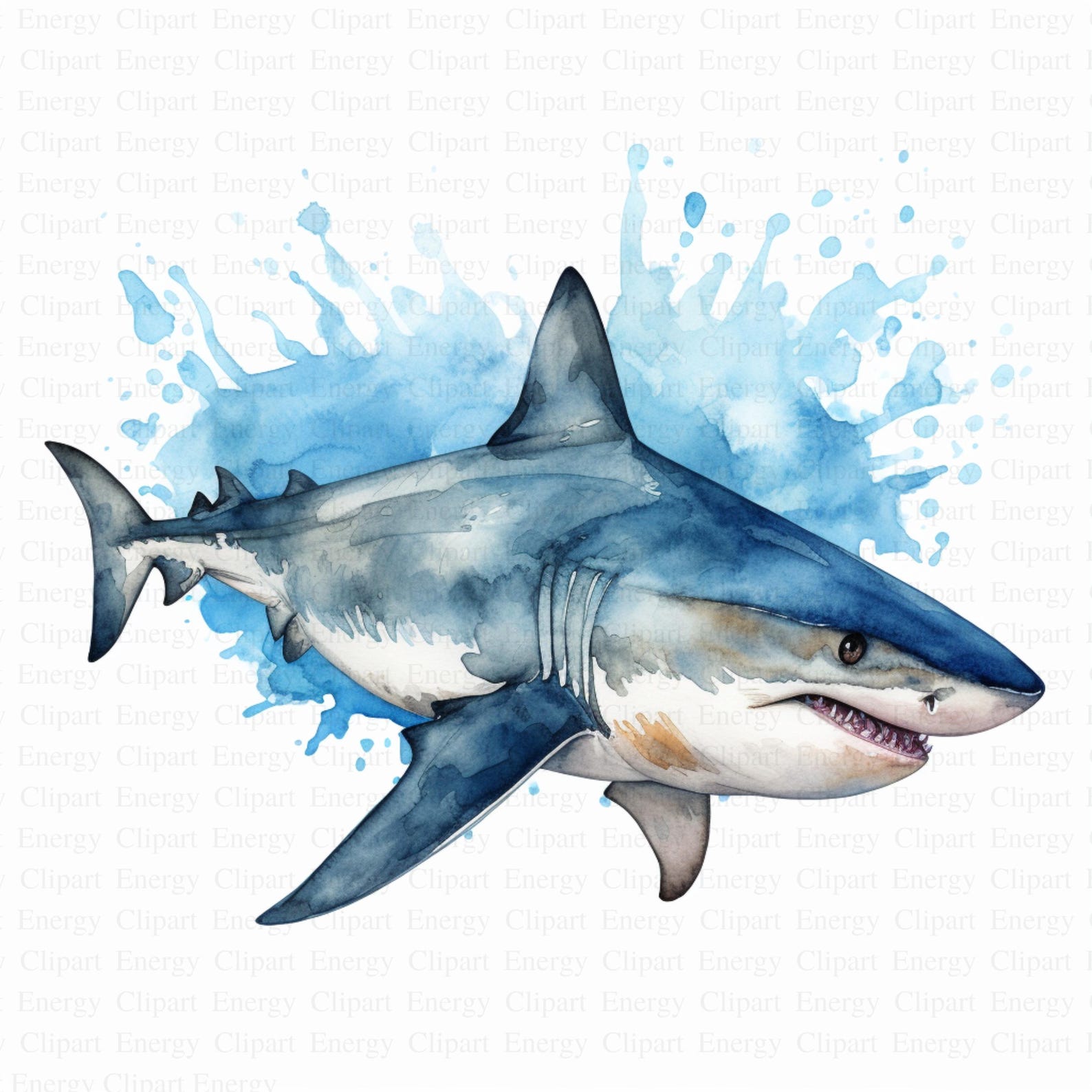 Shark Clipart | 5 High Quality Jpg's | Ocean Life Art | Shark ...