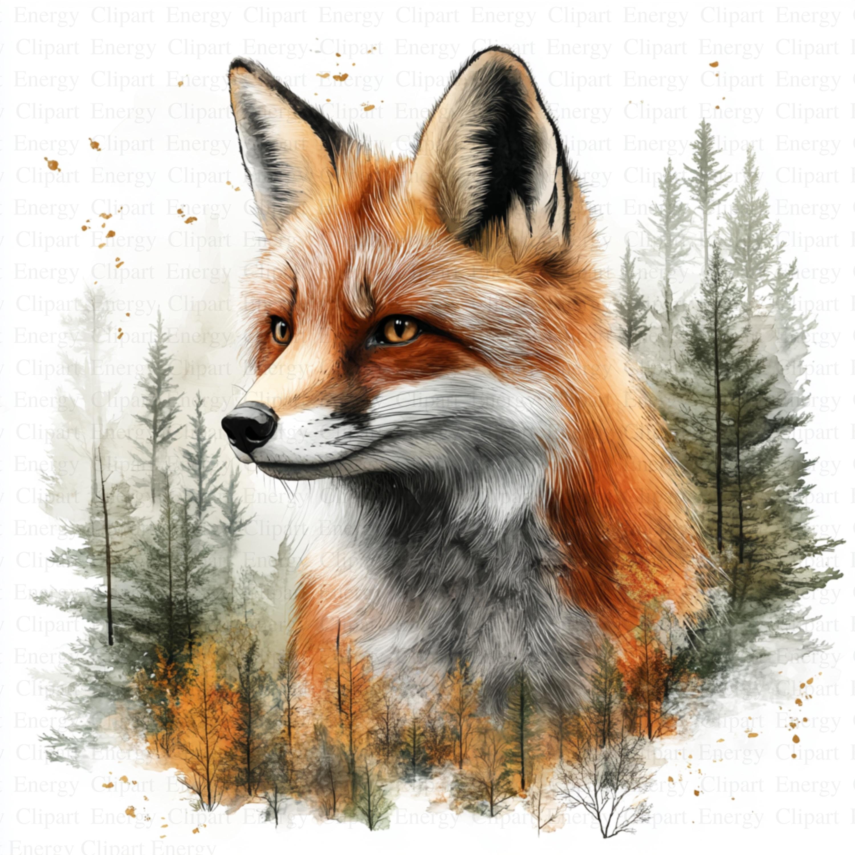 Fox in Forest Clipart | 5 High Quality Jpg's | Digital Download ...
