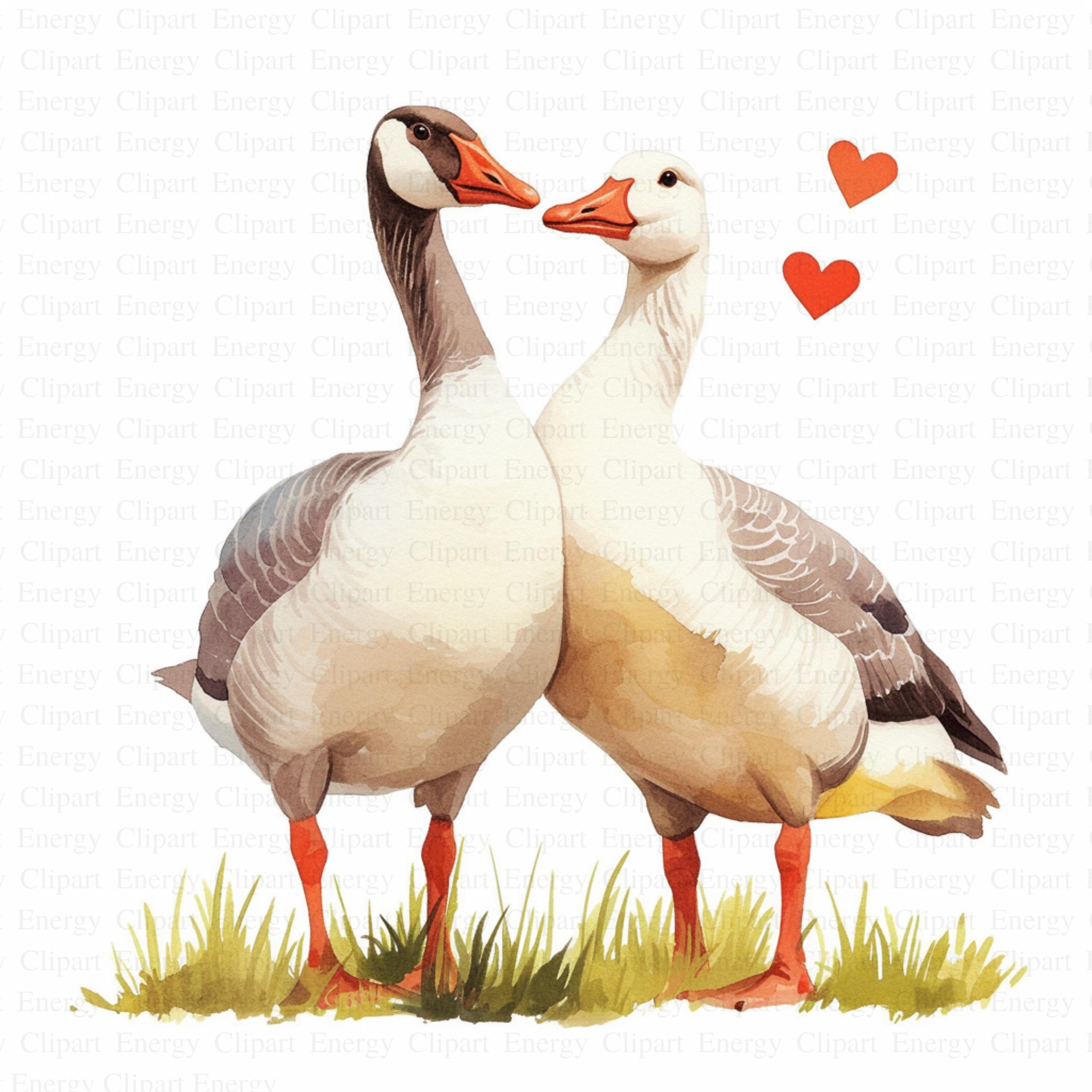 Watercolor Waddling Geese Clipart | 5 High Quality Jpg's | Digital ...