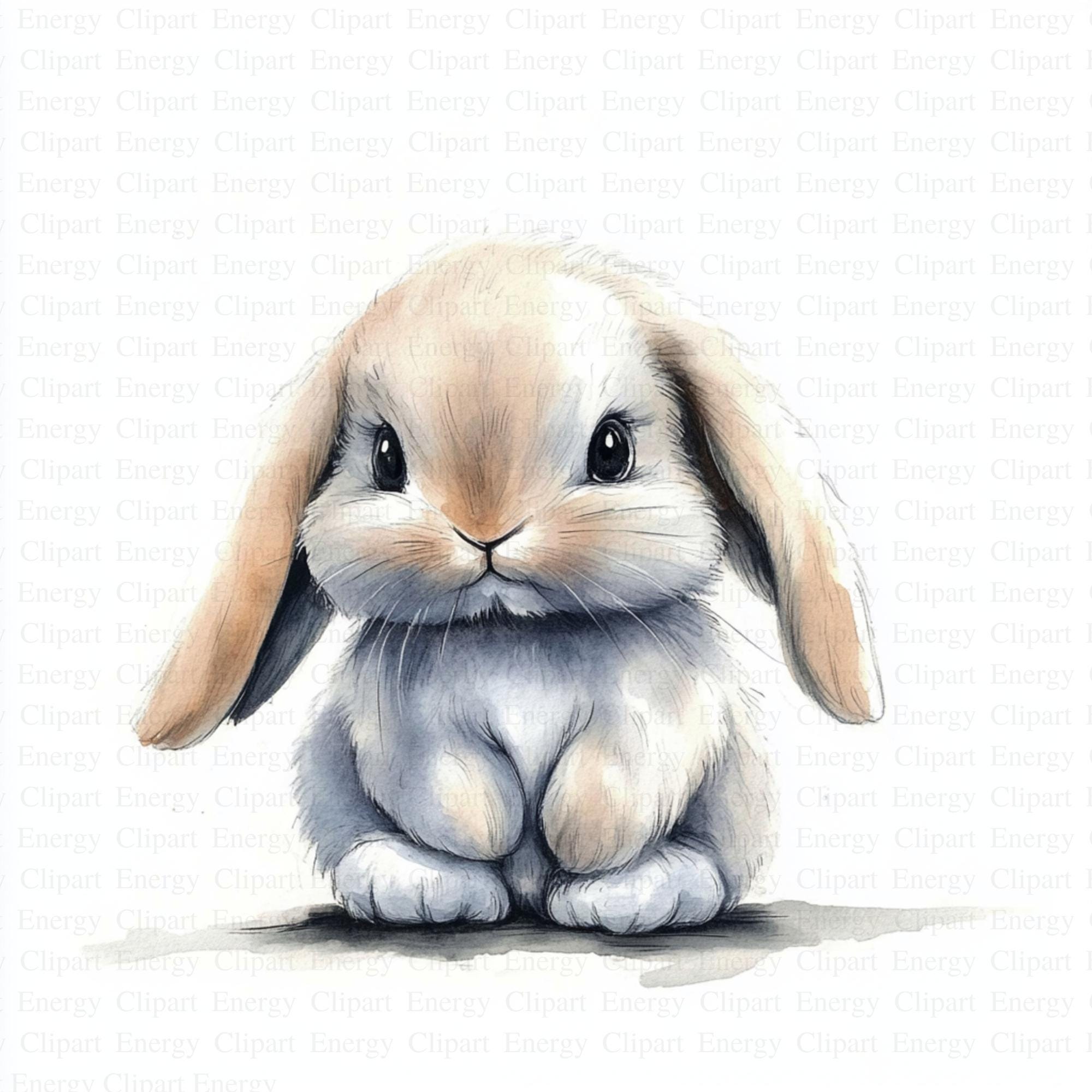 Sad Bunny Clipart | 5 High Quality Jpgs | Digital Download | Wall Art ...