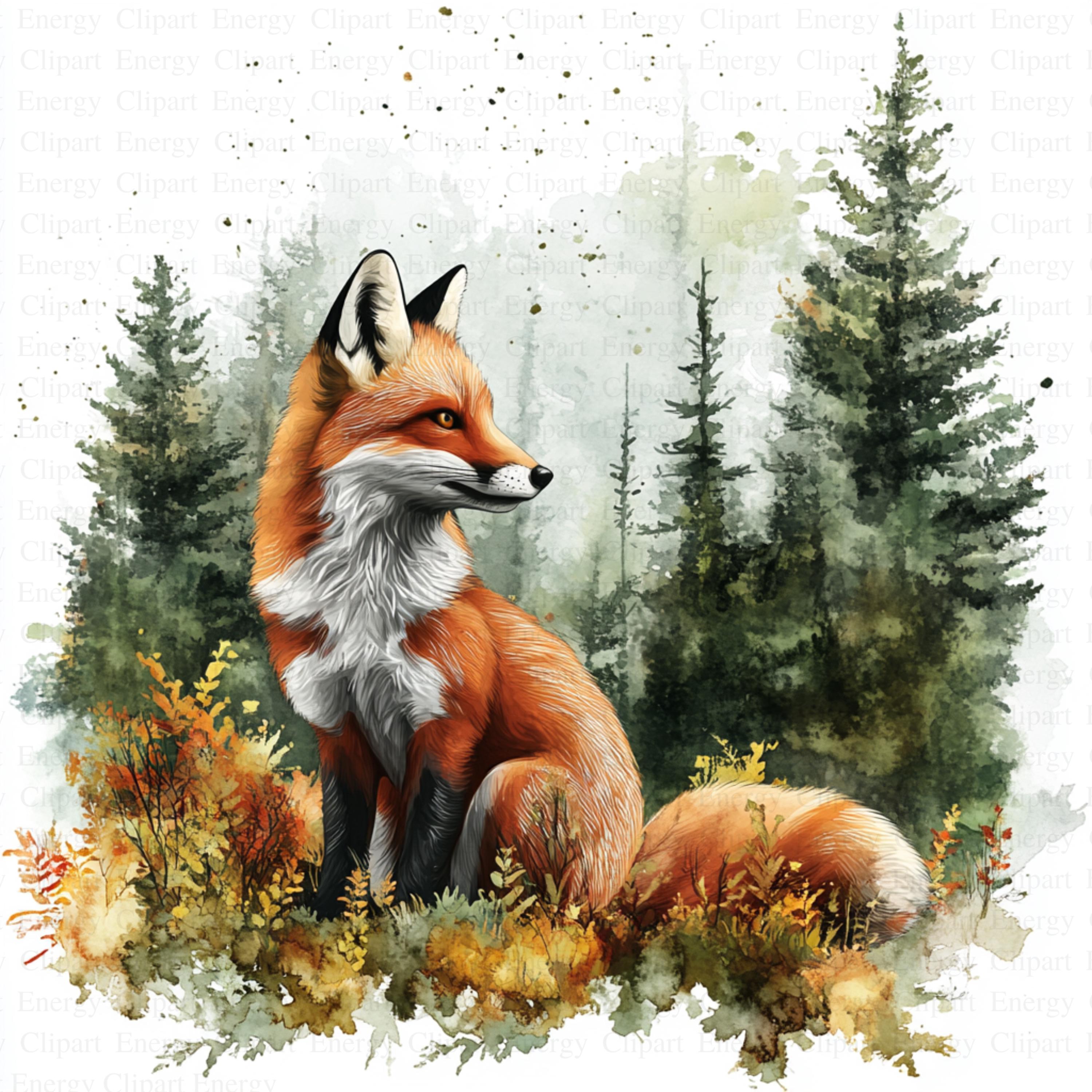 Fox in Forest Clipart | 5 High Quality Jpg's | Digital Download ...