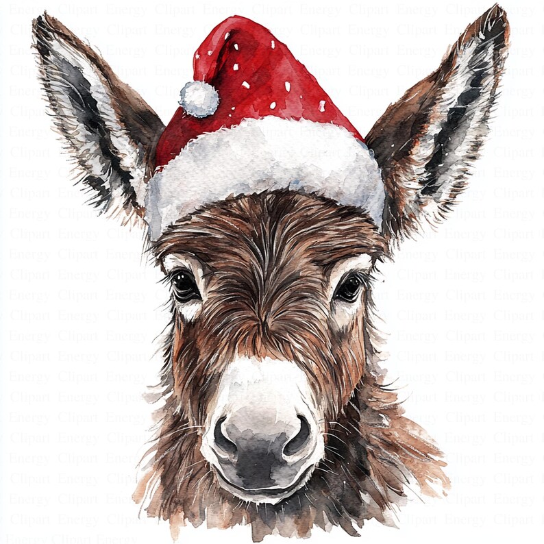 Donkey With Santa Hat Clipart | 5 High Quality Jpgs | Digital Download ...