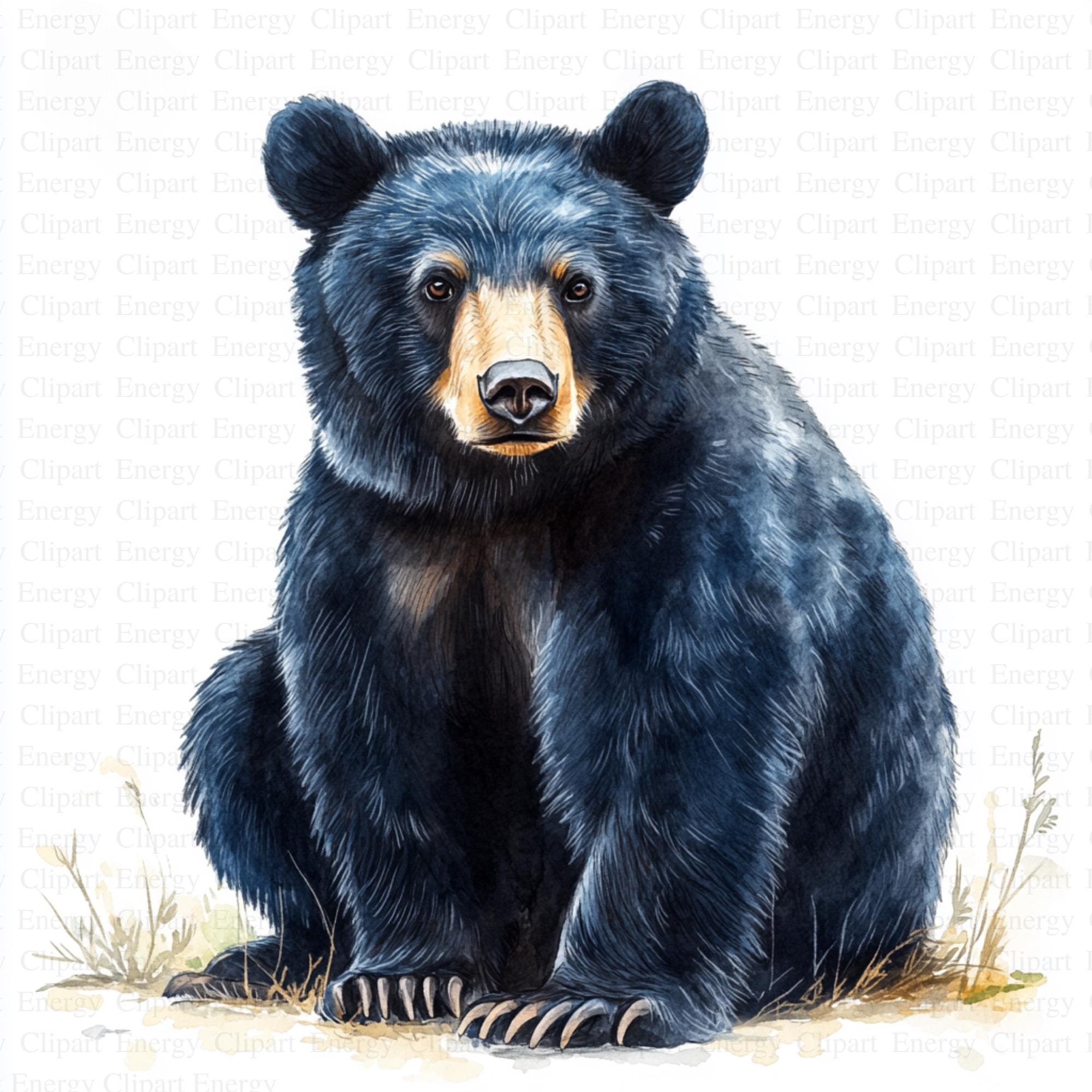Watercolor Black Bear Clipart | 5 High Quality Jpgs | Digital Download ...