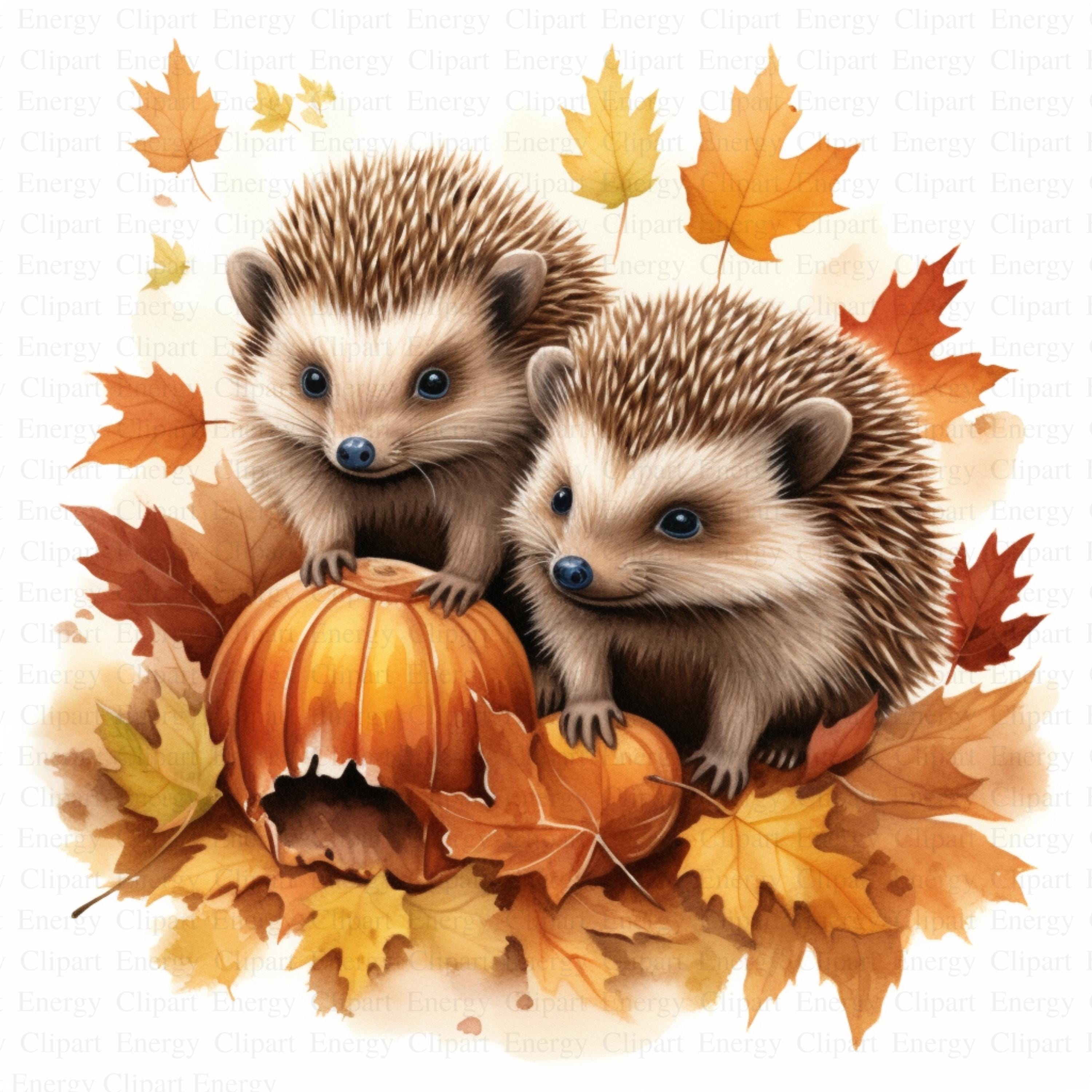 Hedgehogs in Autumn Leaves Clipart | 5 High Quality Jpg's | Forest ...