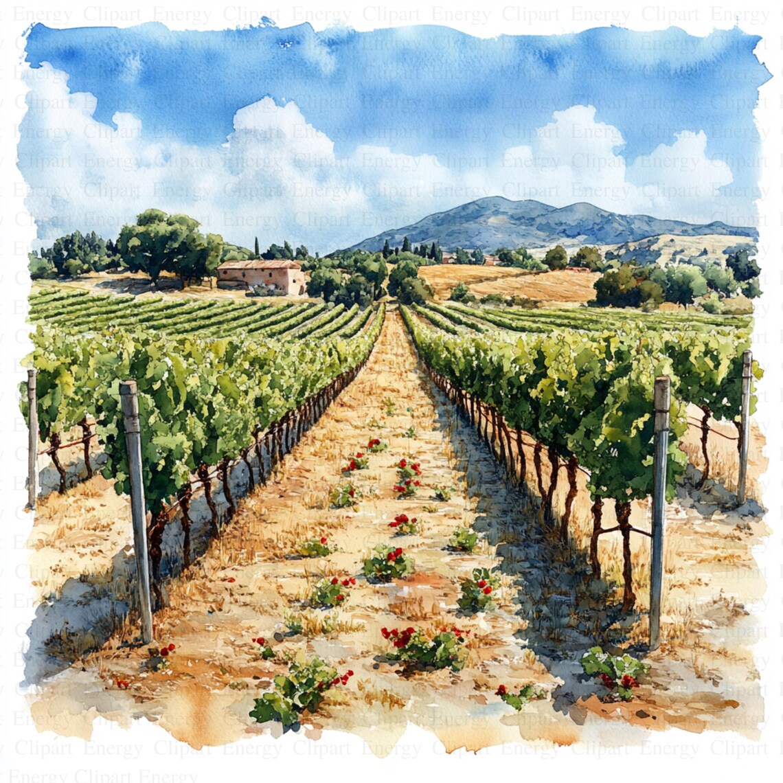 Watercolor Vineyard Clipart | 5 High Quality Jpg's | Digital Download ...