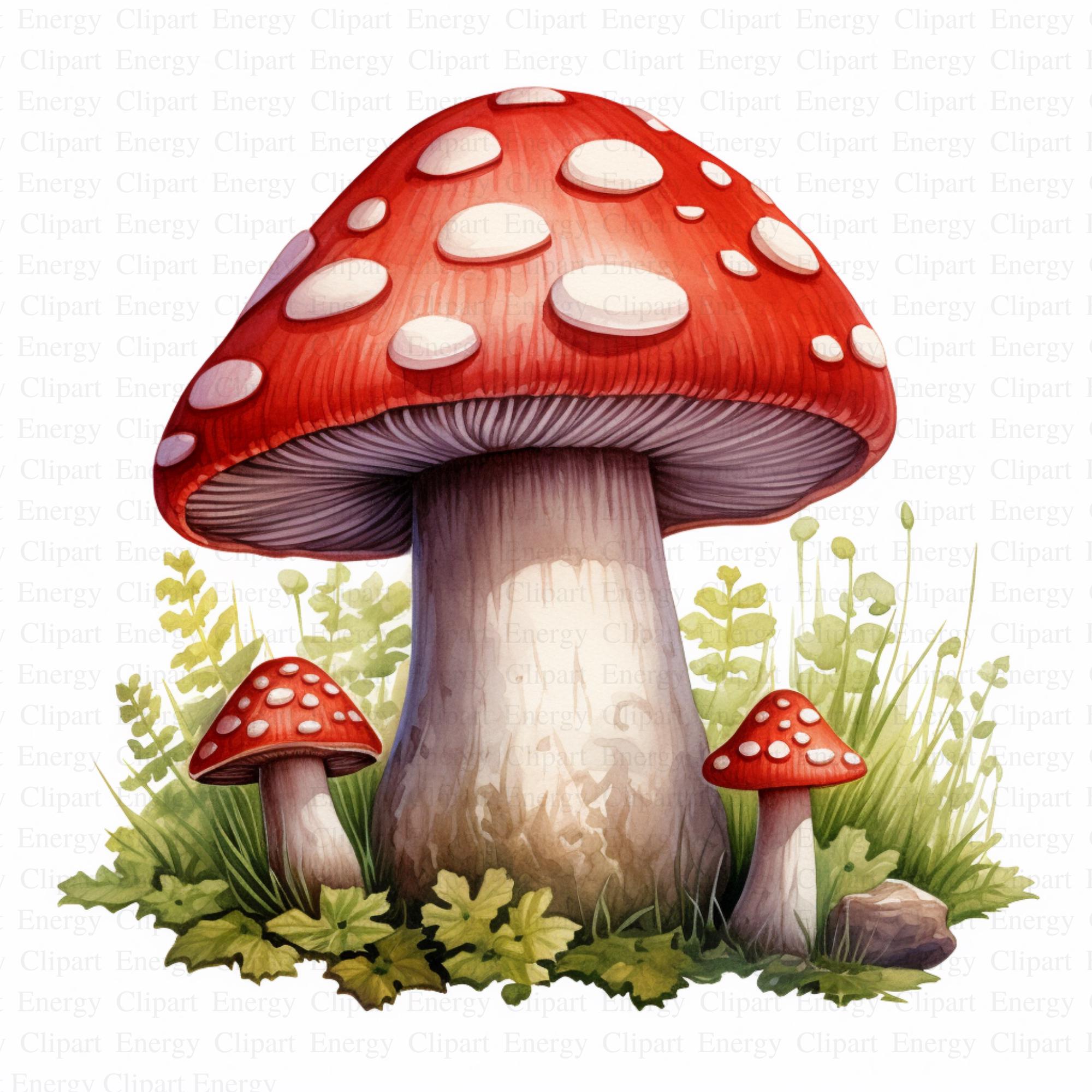 Toadstool Clipart | 5 High Quality Jpgs | Digital Download | Memory ...