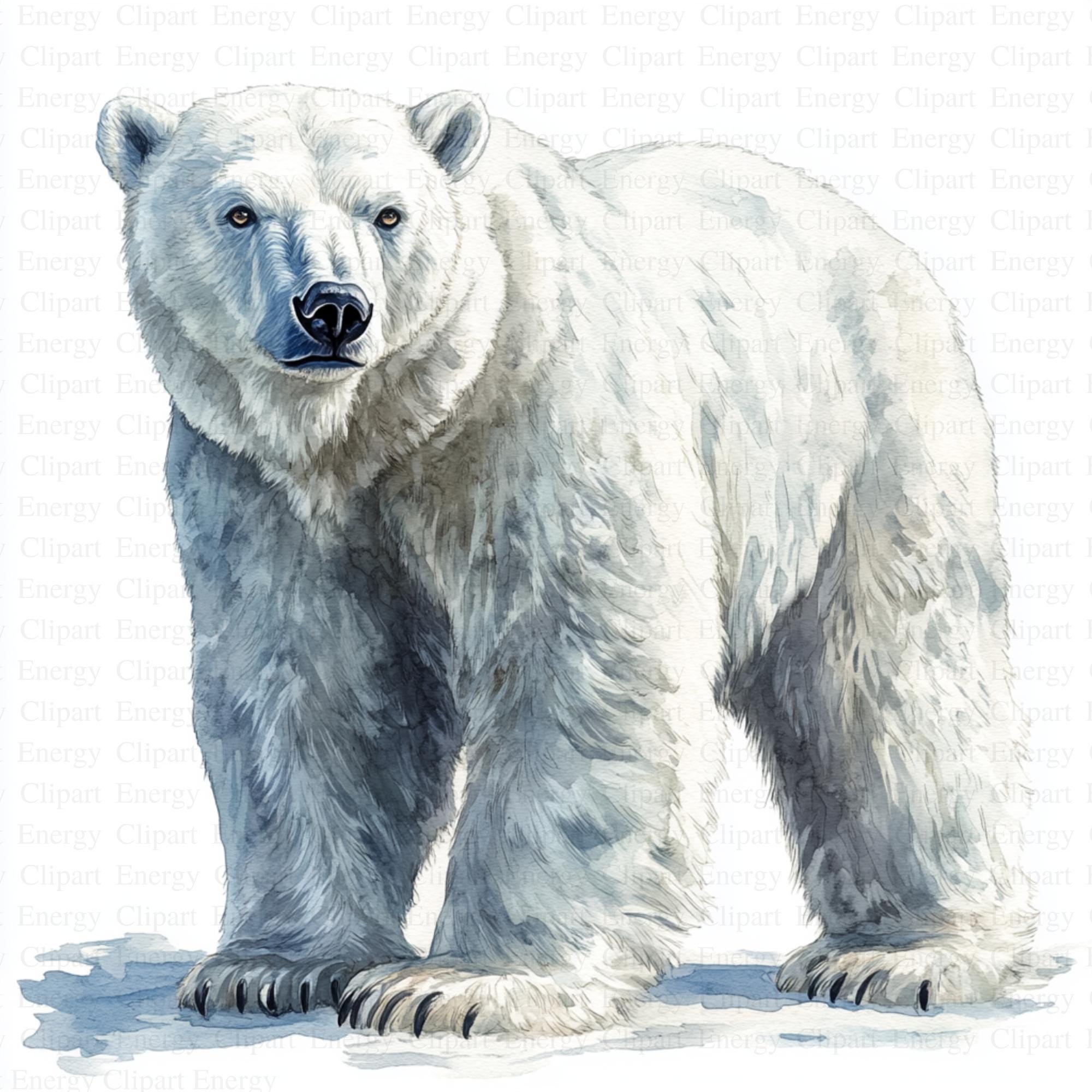 Polar Bear Clipart | 5 High Quality Jpgs | Digital Download | Nursery ...