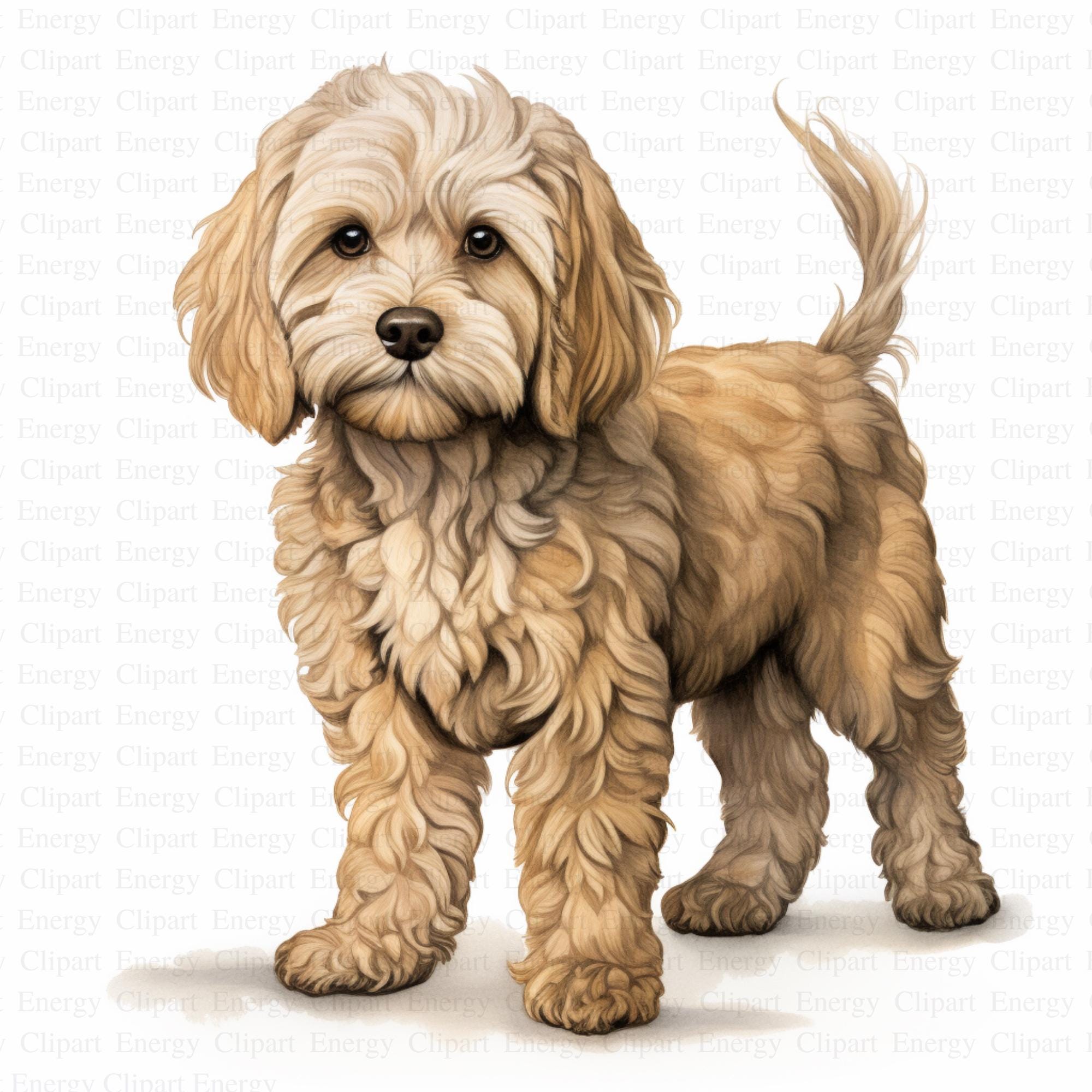 Cockapoo Clipart | 5 High Quality Jpgs | Digital Download | Card Making ...