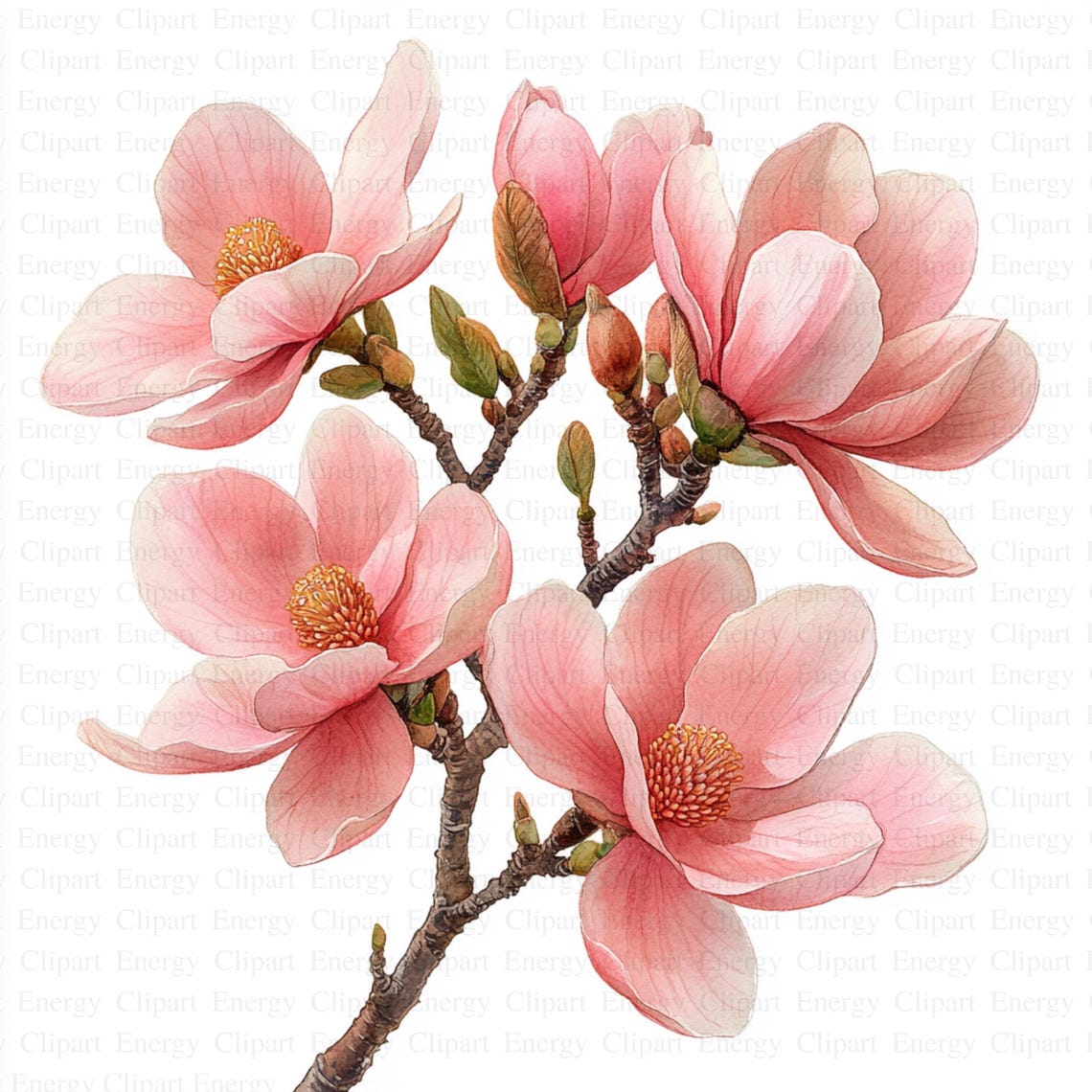 Magnolia Branches Clipart | 5 High Quality Jpgs | Instant Digital ...