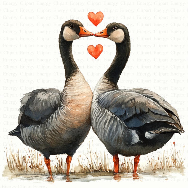 Watercolor Waddling Geese Clipart | 5 High Quality Jpg's | Digital ...