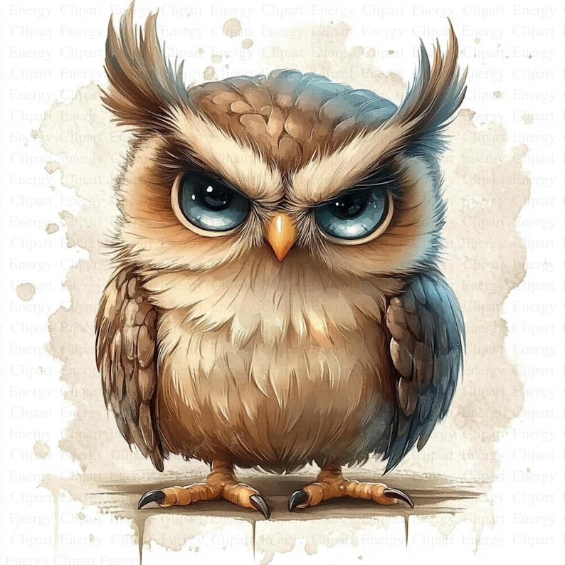 Grumpy Owl Clipart | 5 High Quality Jpgs | Digital Download | Cute Owl ...