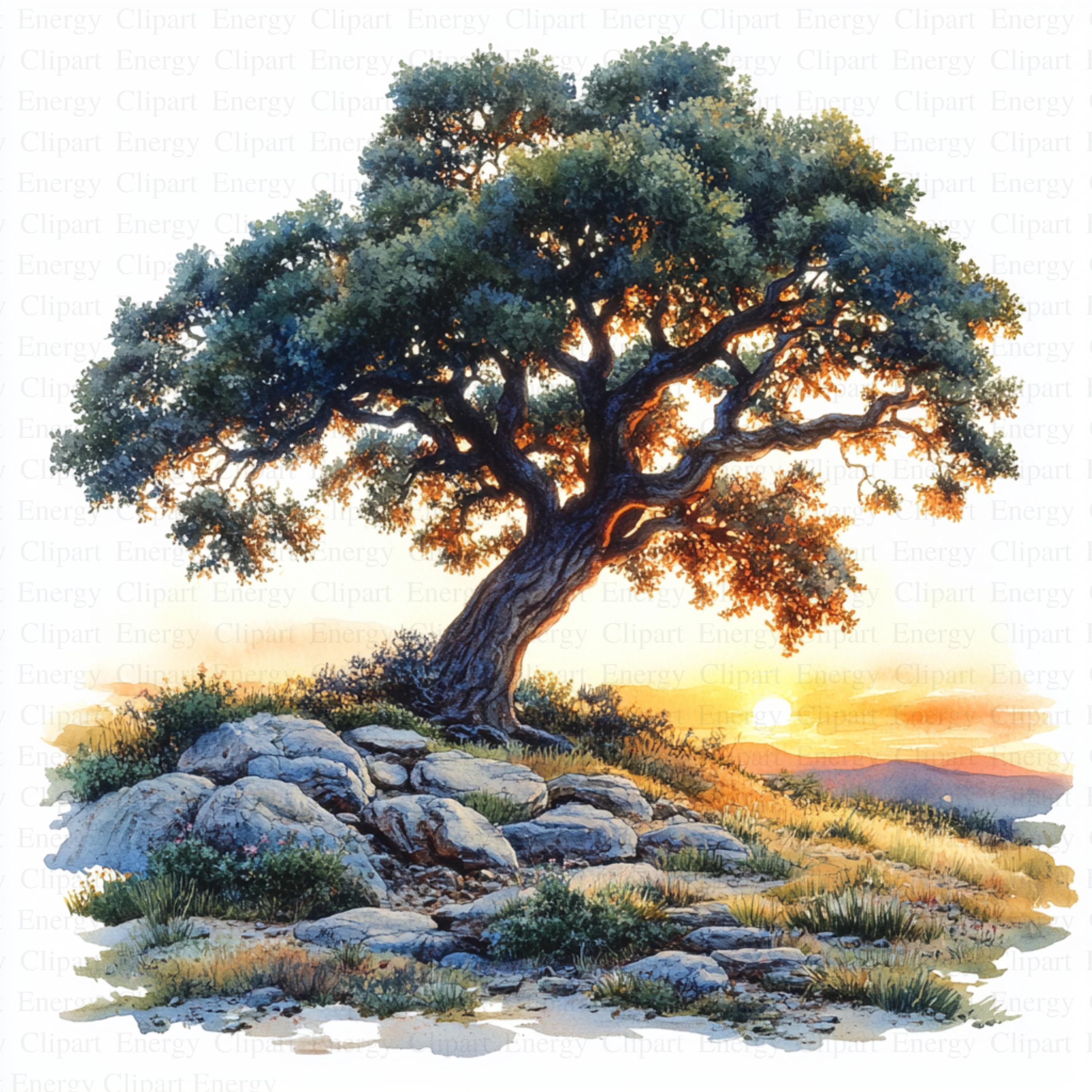 Oak at Sunset Clipart | 5 High Quality Jpg's | Digital Download ...