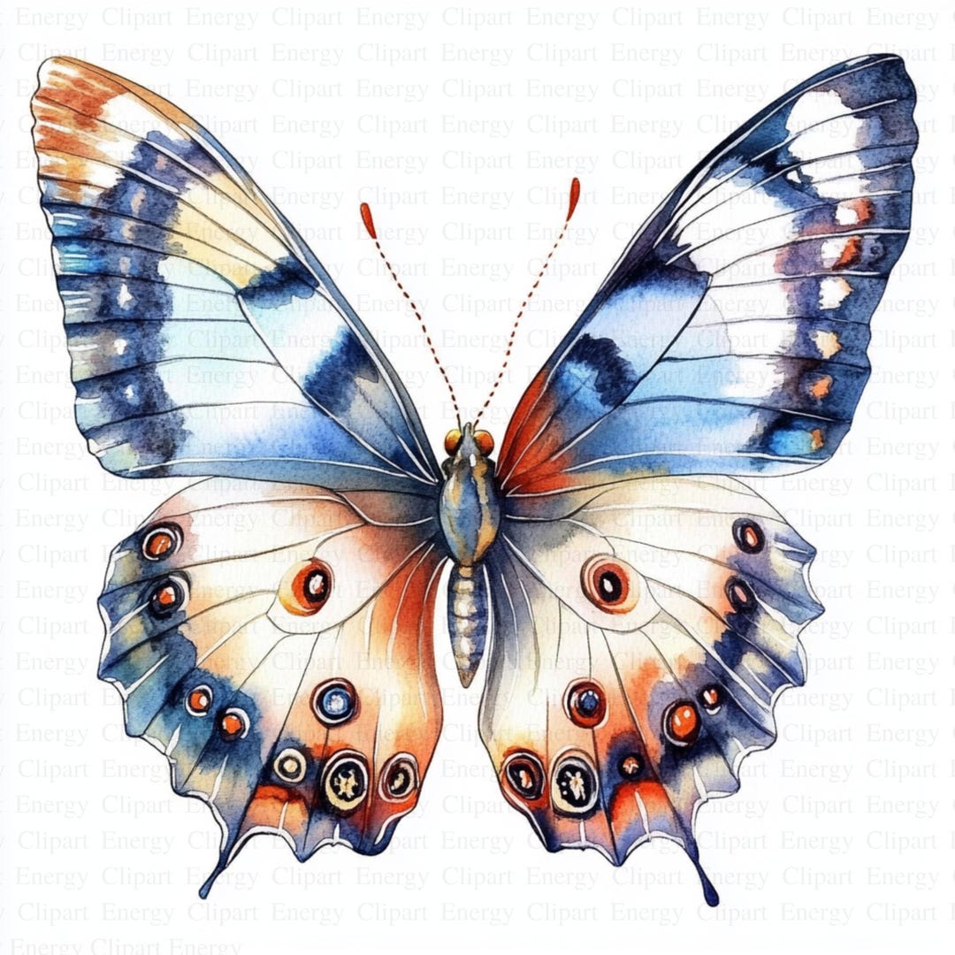 Realistic Butterflies Clipart | 5 High Quality Jpgs | Digital Download ...