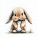 Sad Bunny Clipart | 5 High Quality Jpgs | Digital Download | Wall Art ...