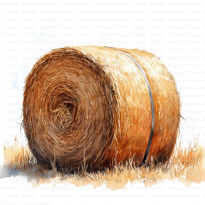 Watercolor Hay Bale Clipart 5 High Quality Jpg's Digital Download Farm ...