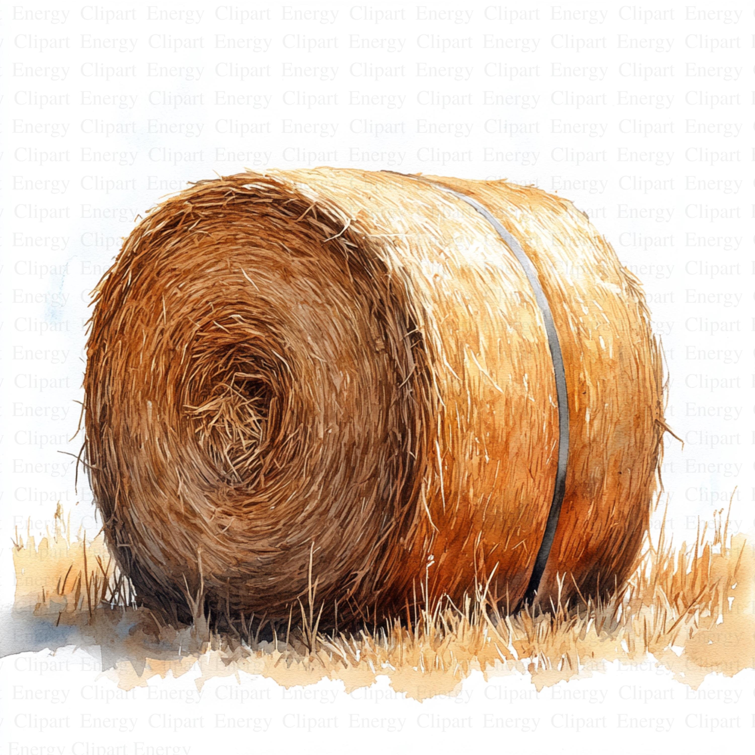 Watercolor Hay Bale Clipart | 5 High Quality Jpg's | Digital Download ...