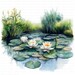 Watercolor Pond Clipart | 5 High Quality Jpg's | Digital Download ...