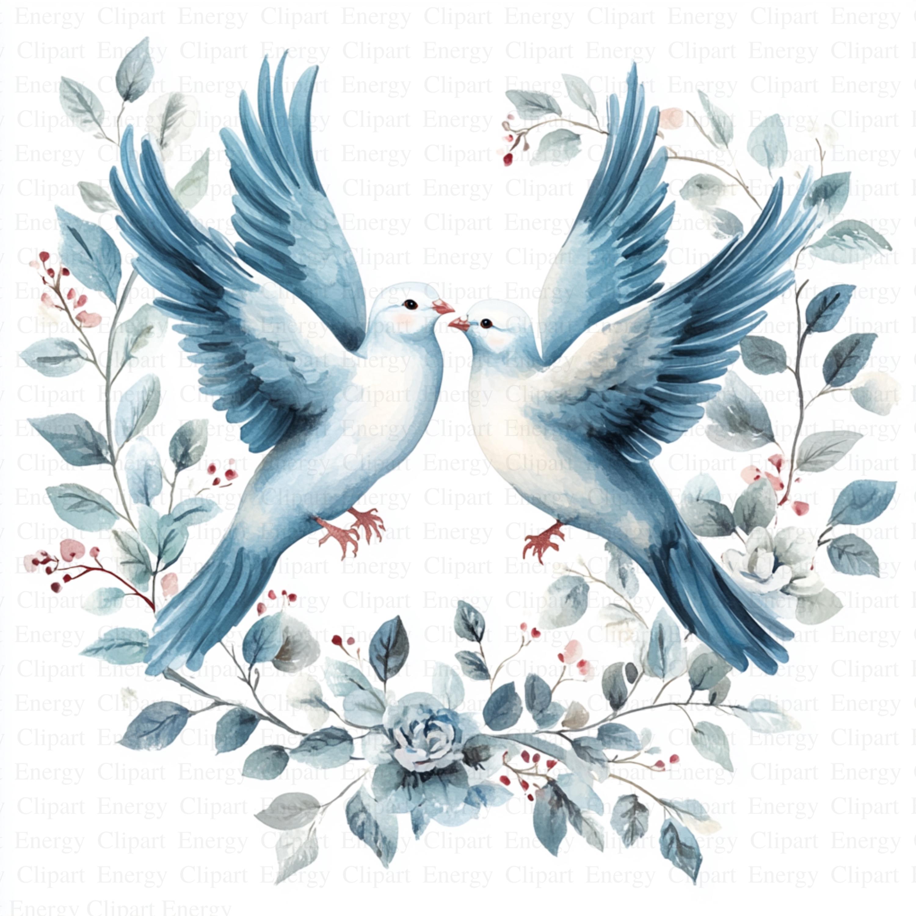 Watercolor Romantic Doves Couple Clipart | 5 High Quality Jpg's ...