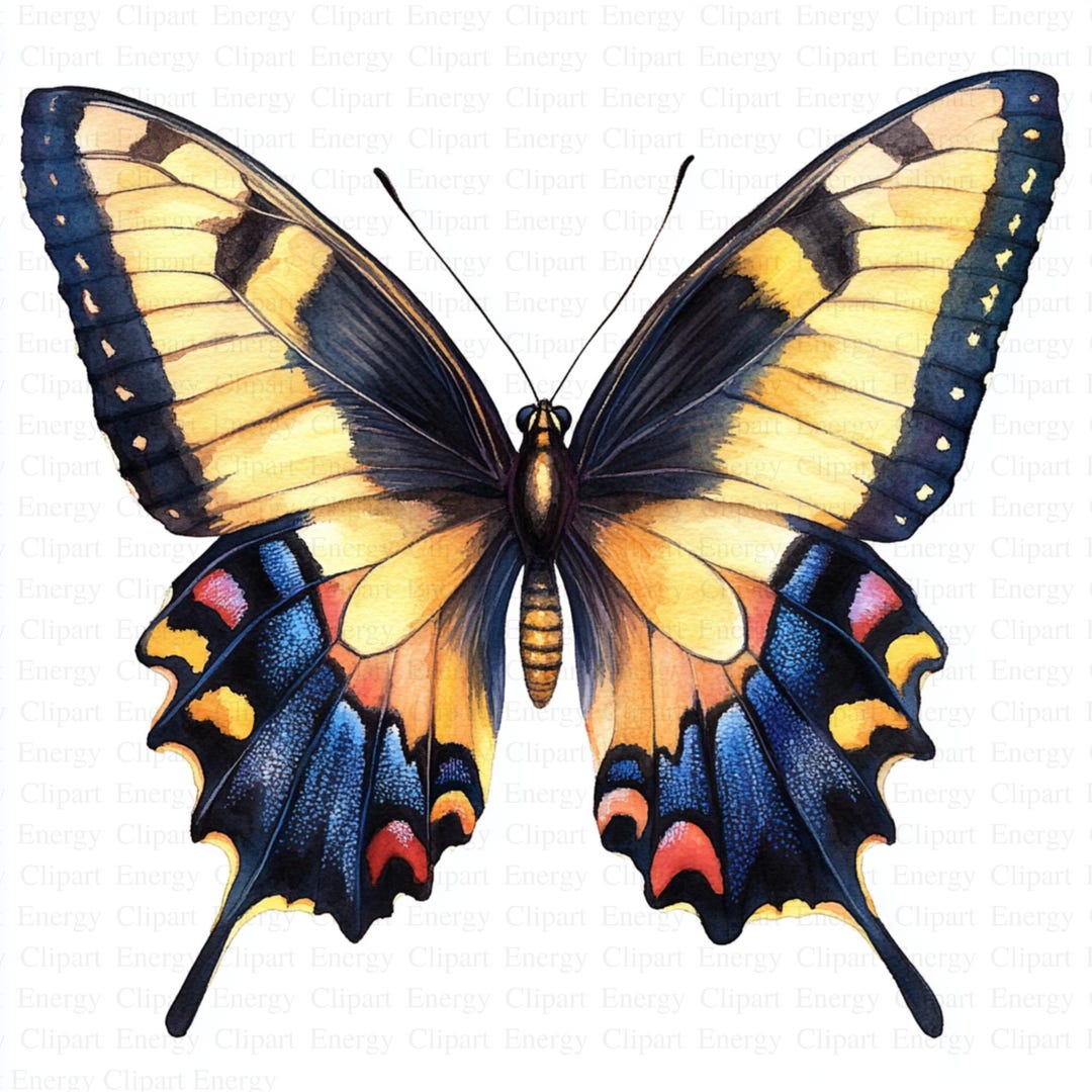 Swallowtail Butterflies Clipart | 5 High Quality Jpgs | Digital ...