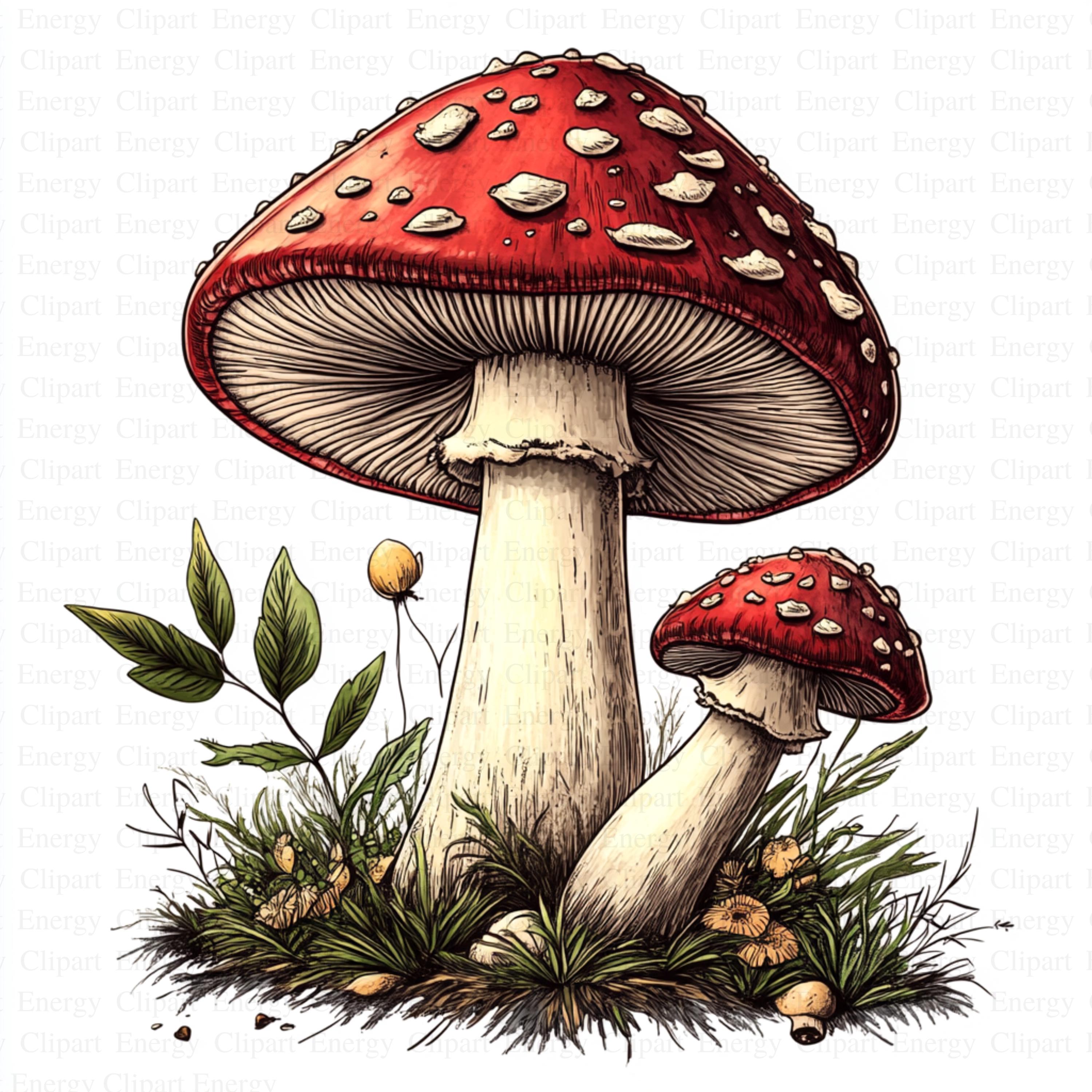 Fairy Mushroom Clipart | 5 High Quality Jpg's | Digital Download ...