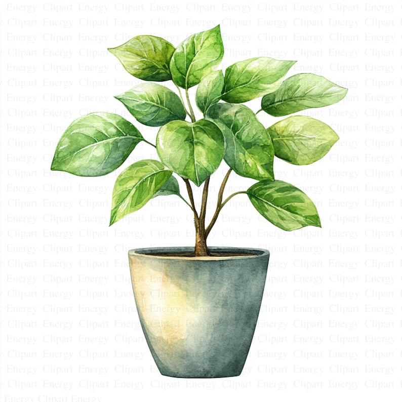 Houseplant Clipart | 5 High Quality Jpg's | Digital Download | Indoor ...