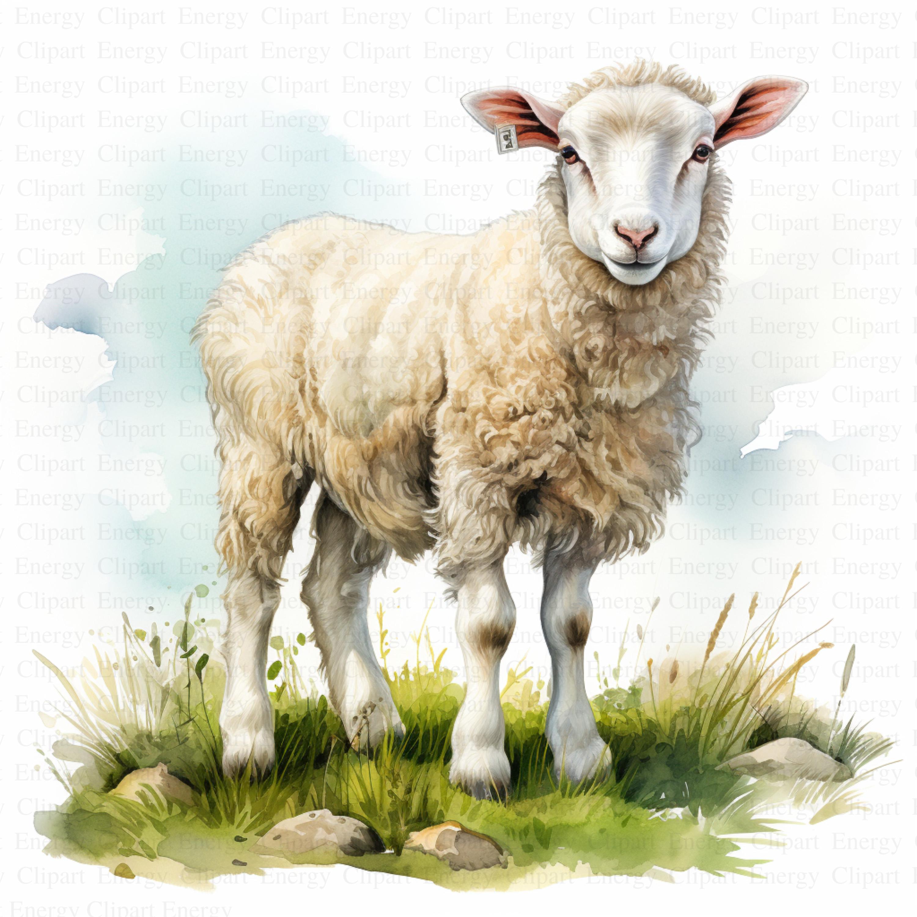 Sheep Clipart | 5 High Quality Jpg's | Digital Download | Farm Animal ...