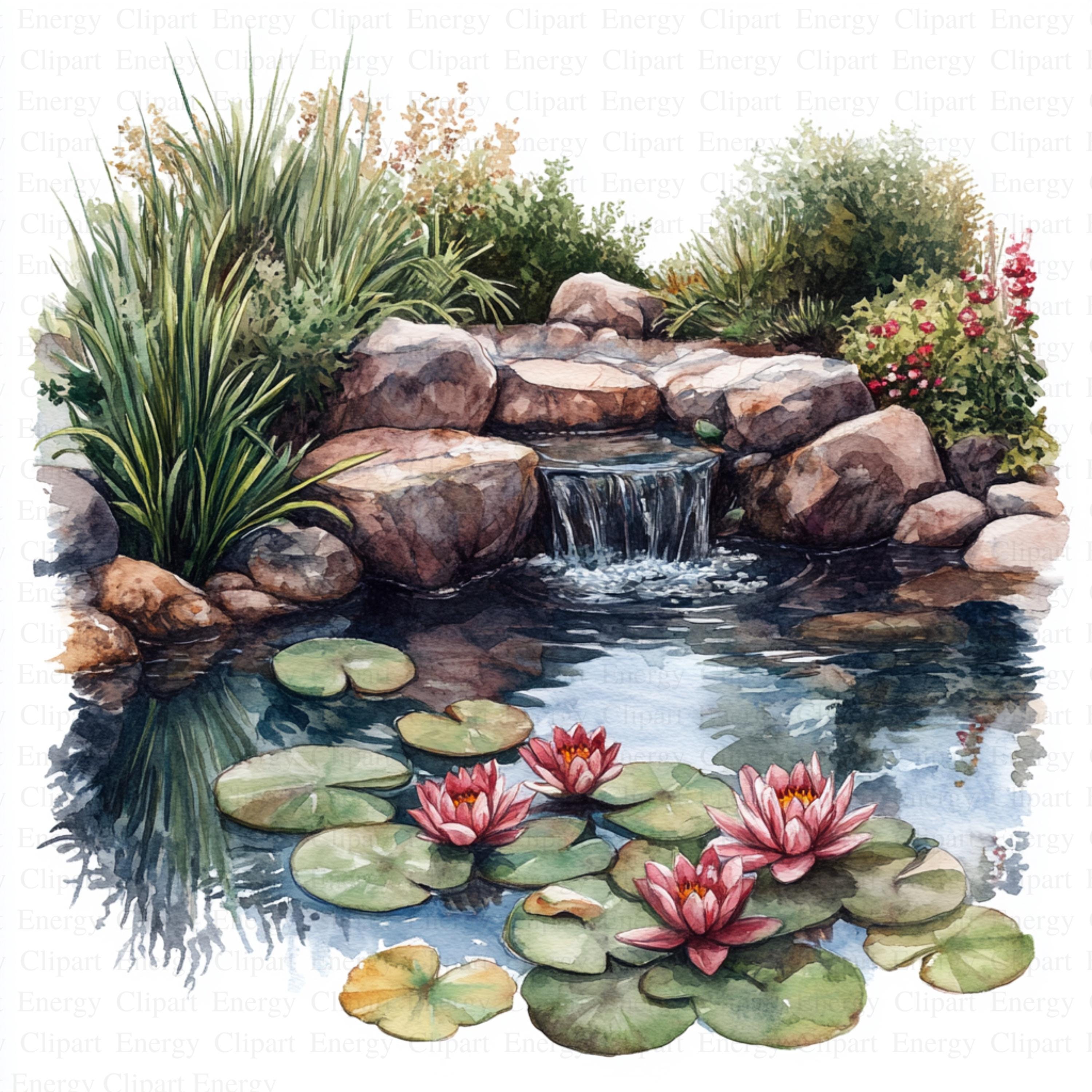 Watercolor Backyard Pond Clipart Bundle | 5 High Quality Jpg's ...