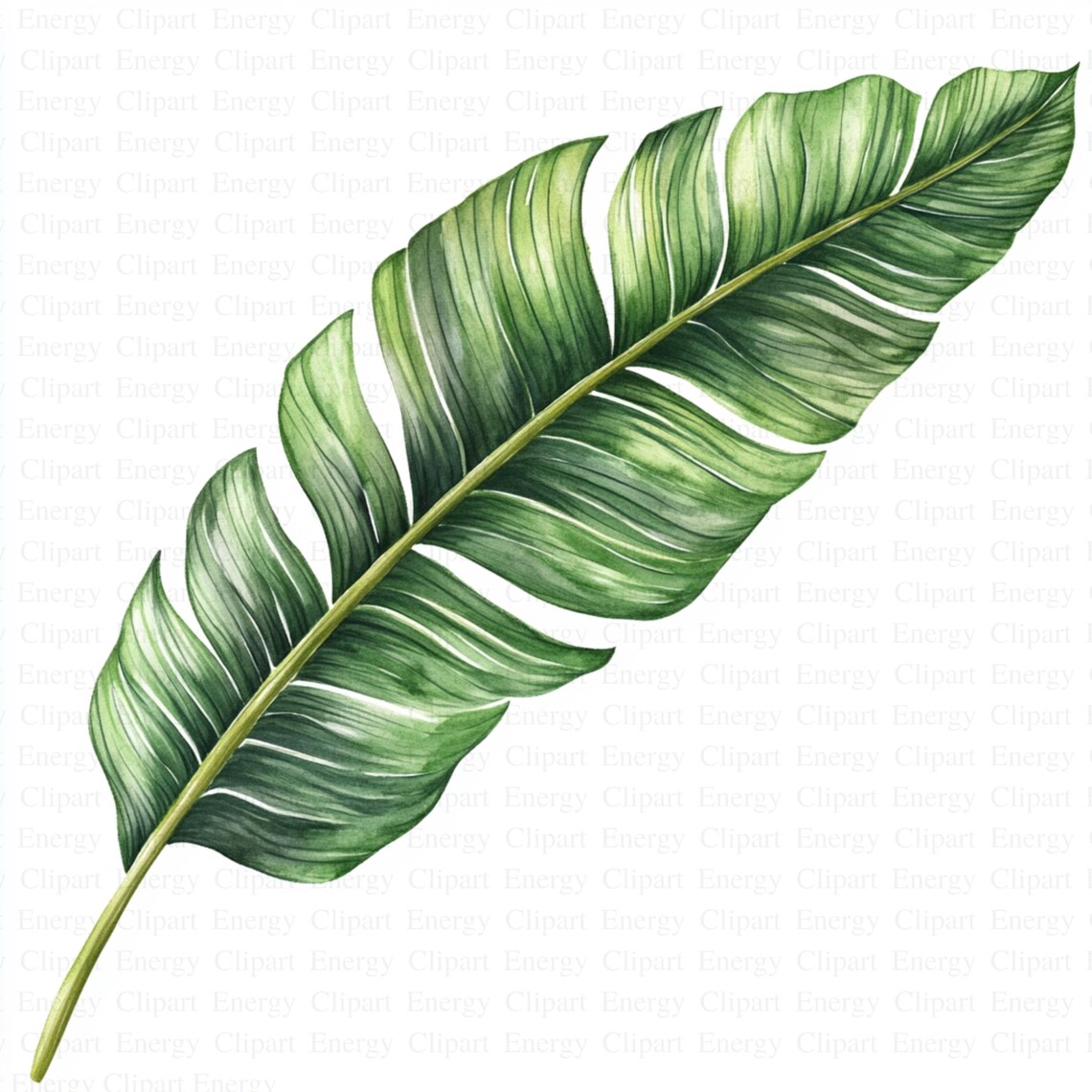 Palm Leaf Clip Art 5 High Quality Jpg's Digital Download Leaves ...