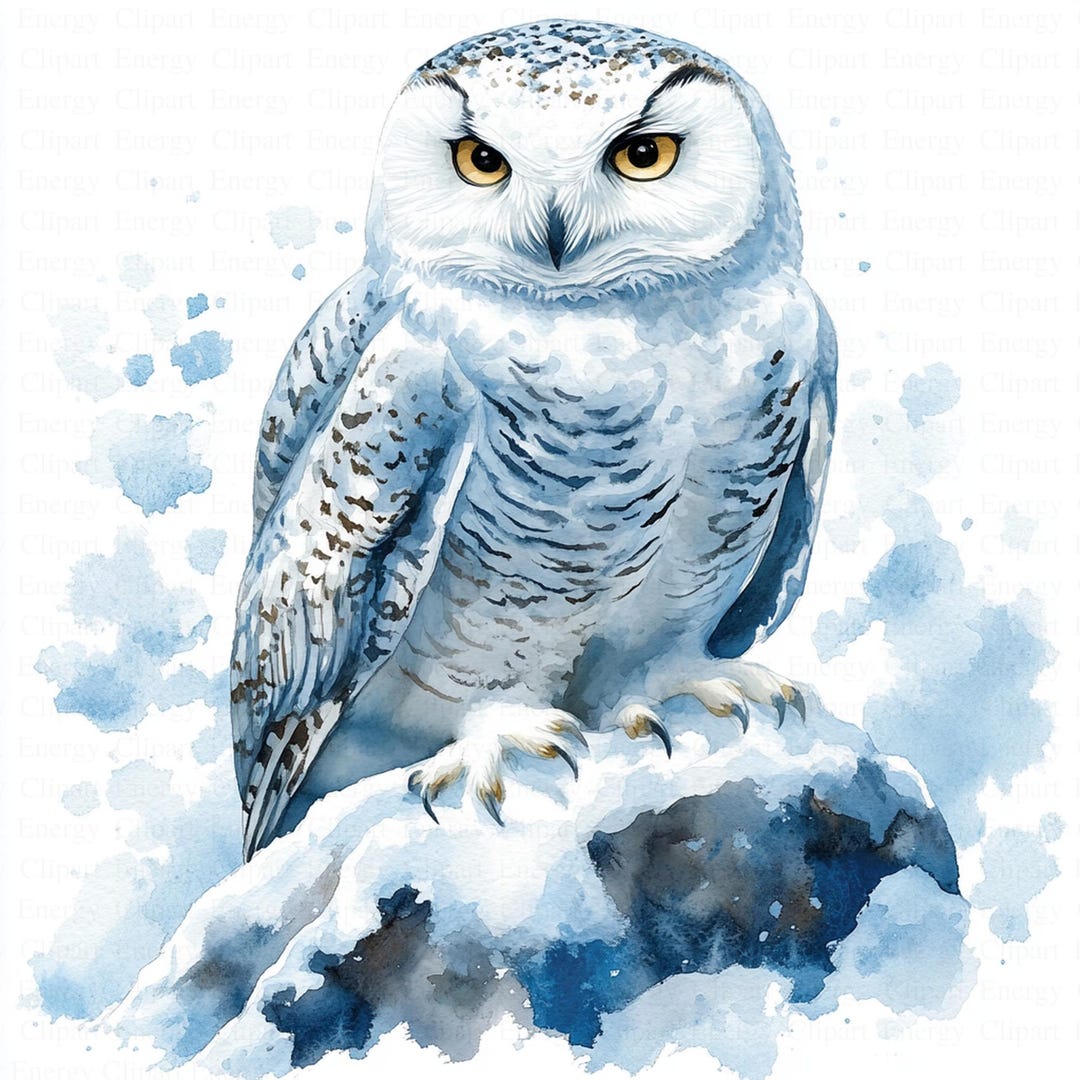 Snow Owl Clipart | 5 High Quality Jpgs | Digital Download | Wall Art ...