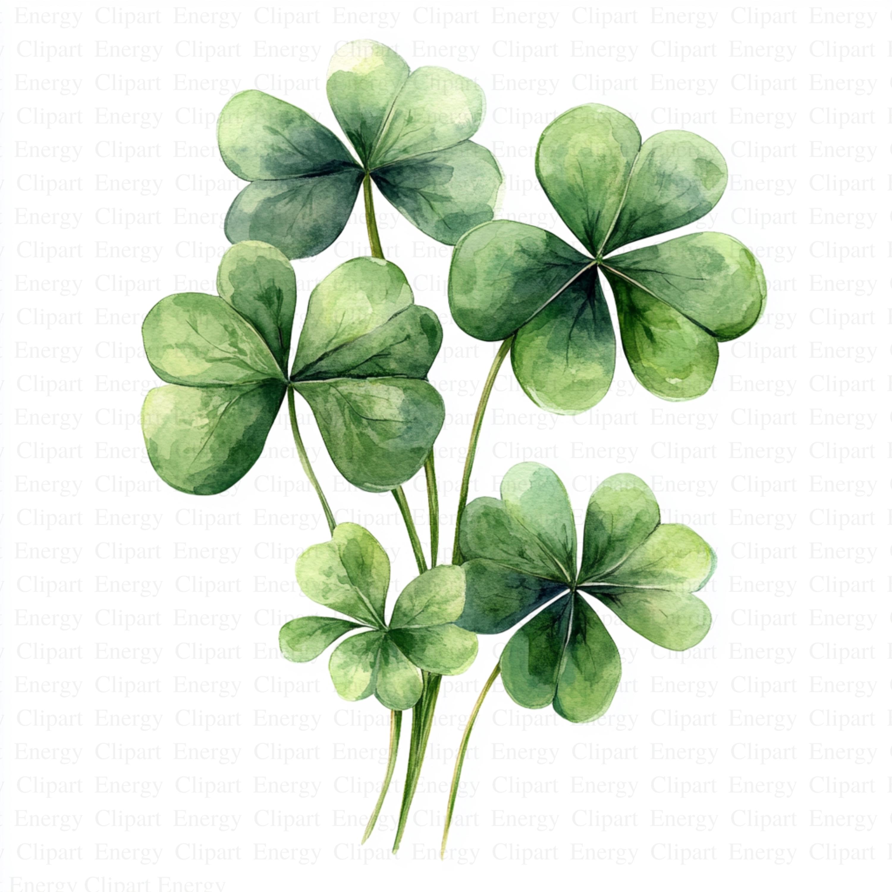 Watercolor Shamrock Clipart | 5 High Quality Jpg's | Digital Download ...