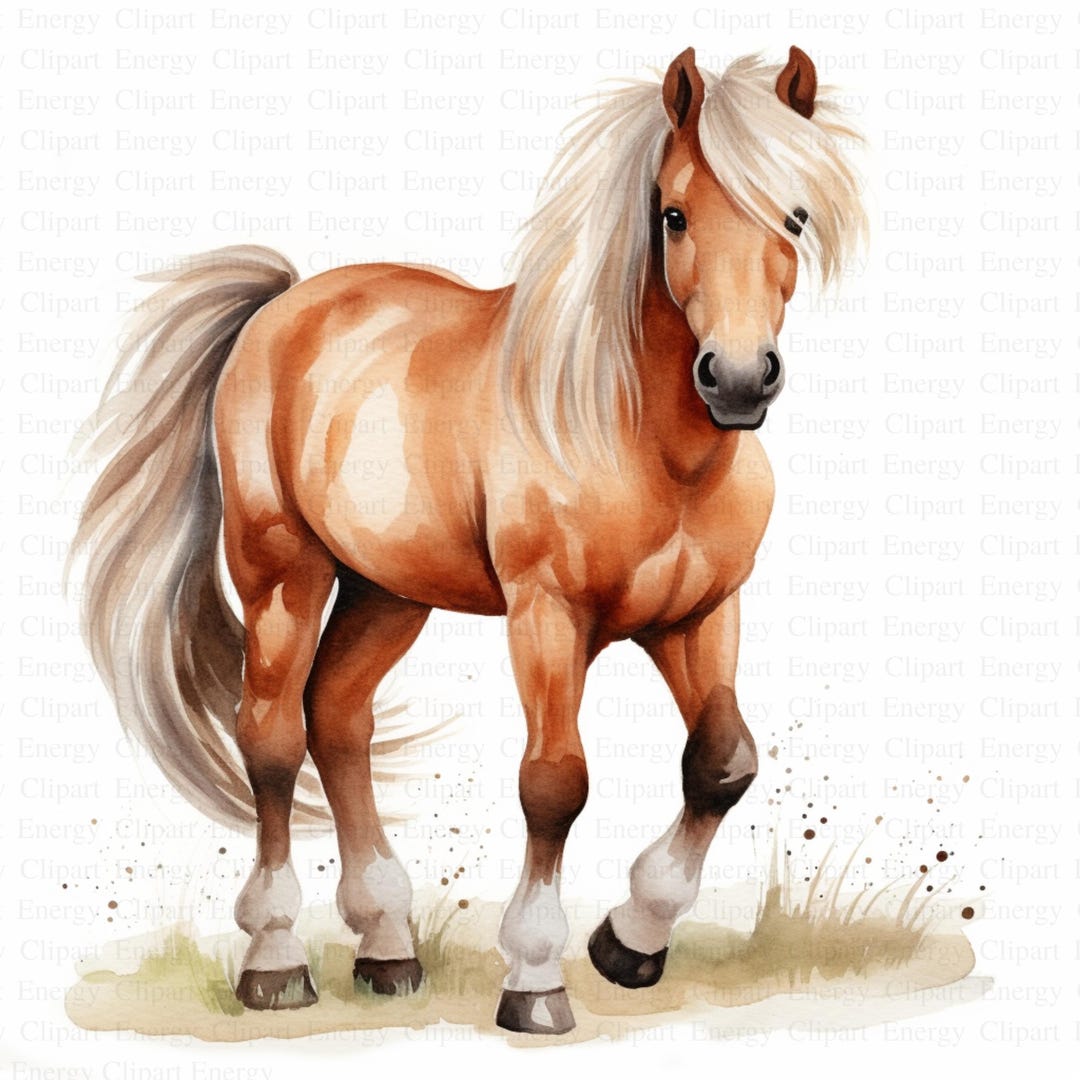 Pony Clipart | 5 High Quality Jpg's | Digital Download | Cute Farm ...