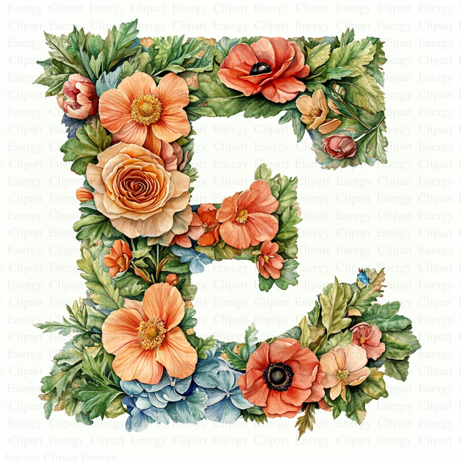 Letter E Clipart | 5 High Quality Jpg's | Digital Download | Alphabet ...