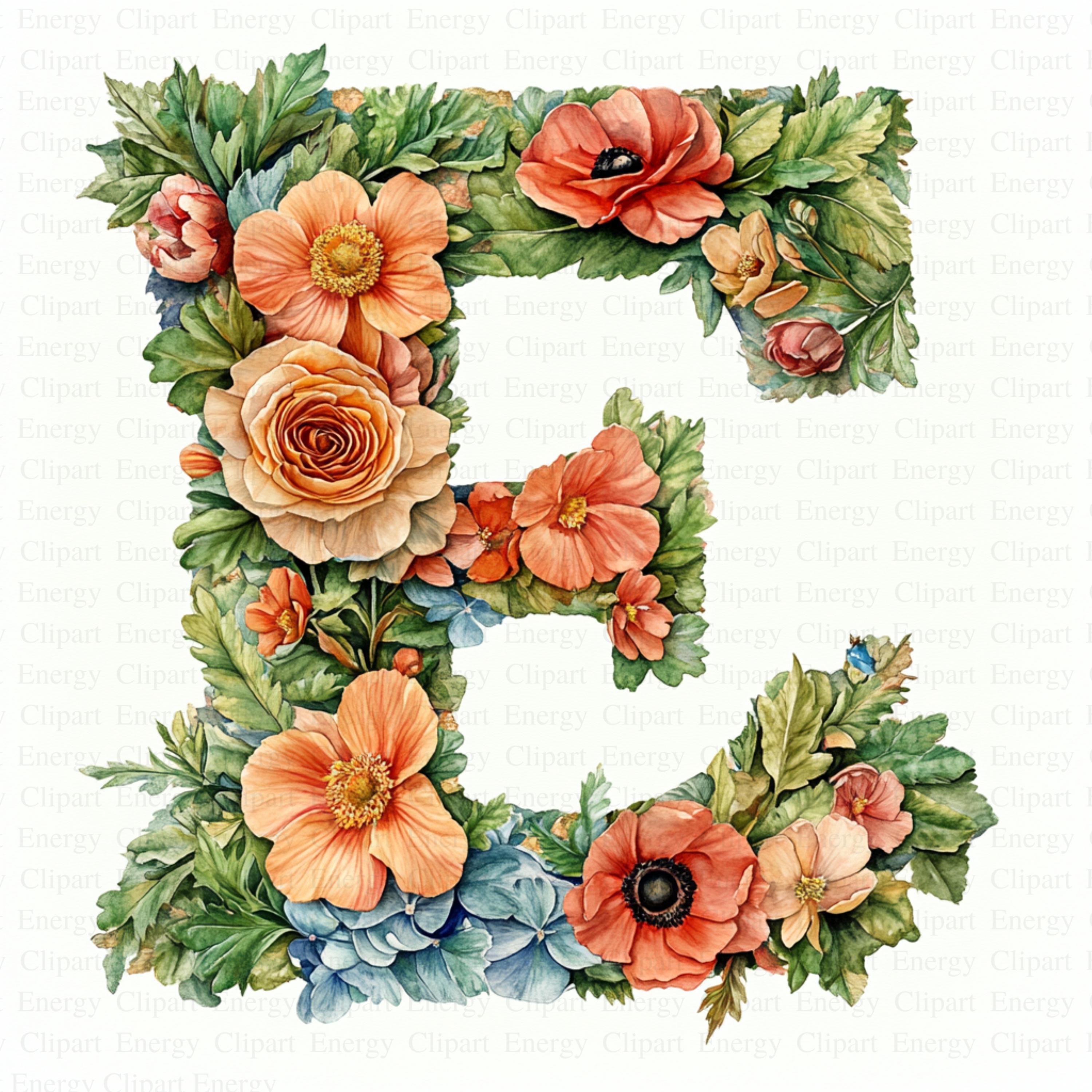 Letter E Clipart | 5 High Quality Jpg's | Digital Download | Alphabet ...