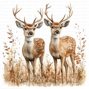 Vintage Deers Clipart | 5 High Quality Jpgs | Instant Digital Download ...