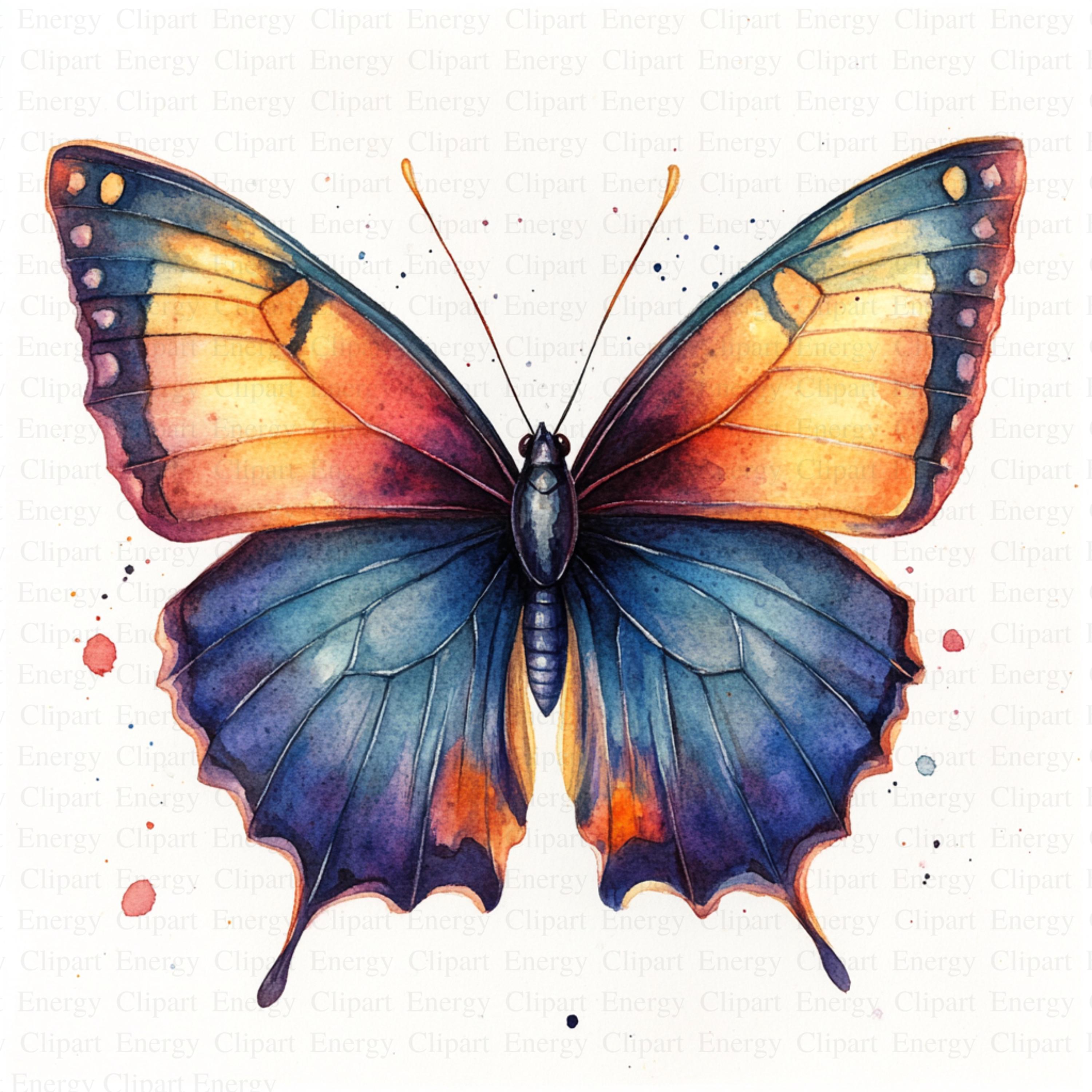 Watercolor Whimsical Butterflies Clipart | 5 High Quality Jpg's ...