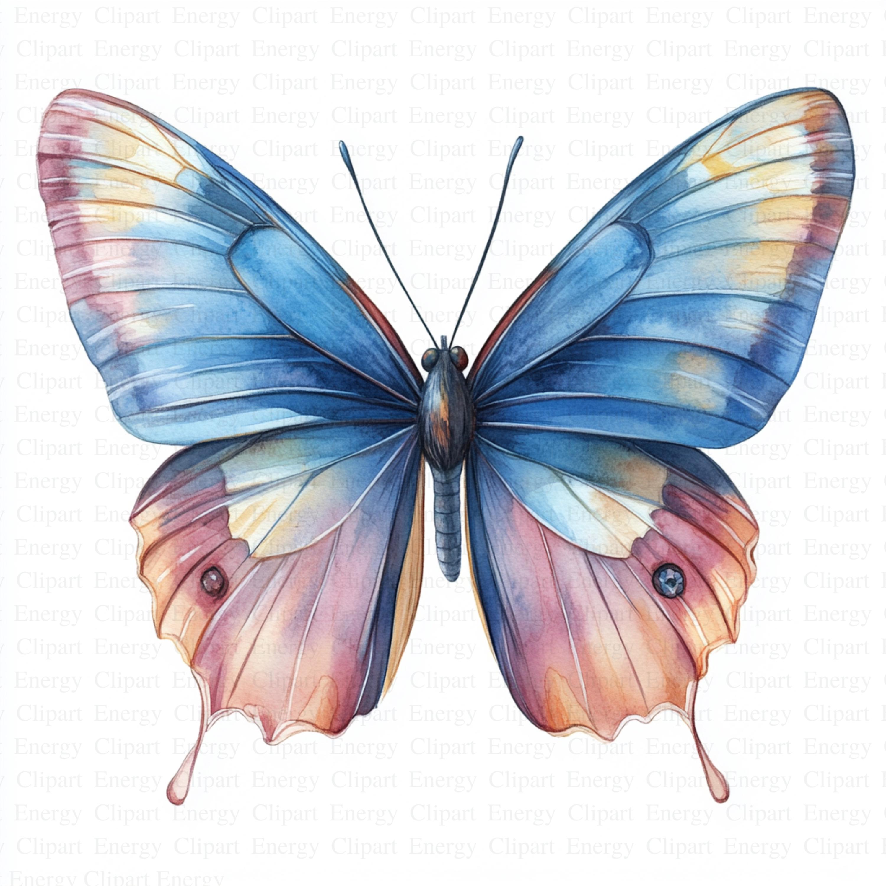 Whimsical Butterflies Clipart | 5 High Quality Jpg's | Digital Download ...