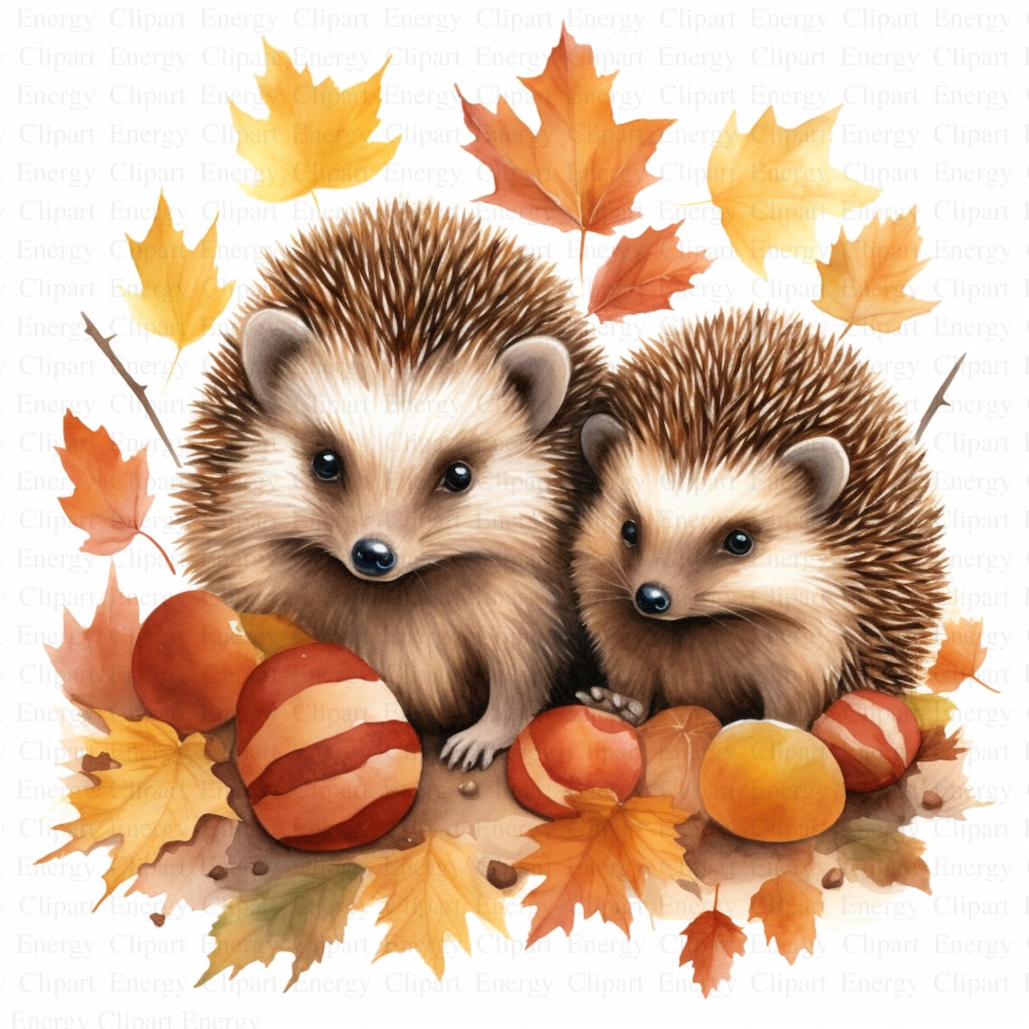 Hedgehogs in Autumn Leaves Clipart 5 High Quality Jpg's Digital ...